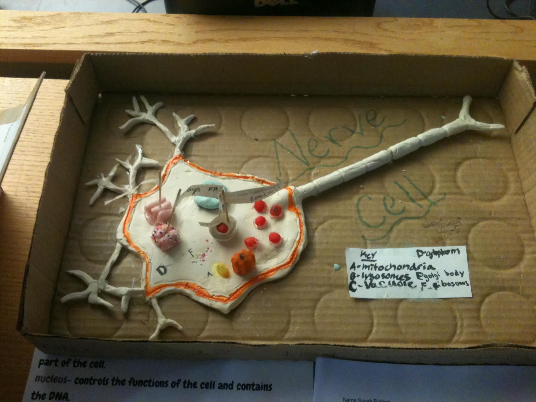 STEM Based Extension Projects for Young Engineering Minds : 15 Steps ...