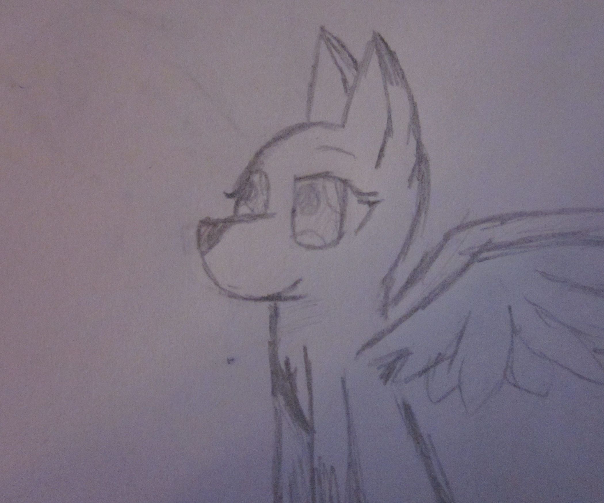 How to Draw a Winged Fox : 5 Steps - Instructables