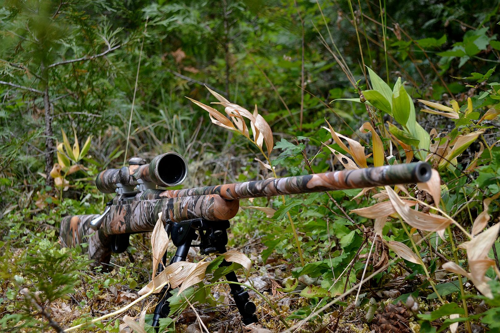 Camouflage Your Rifle With a GunSkins Vinyl Wrap : 7 Steps - Instructables