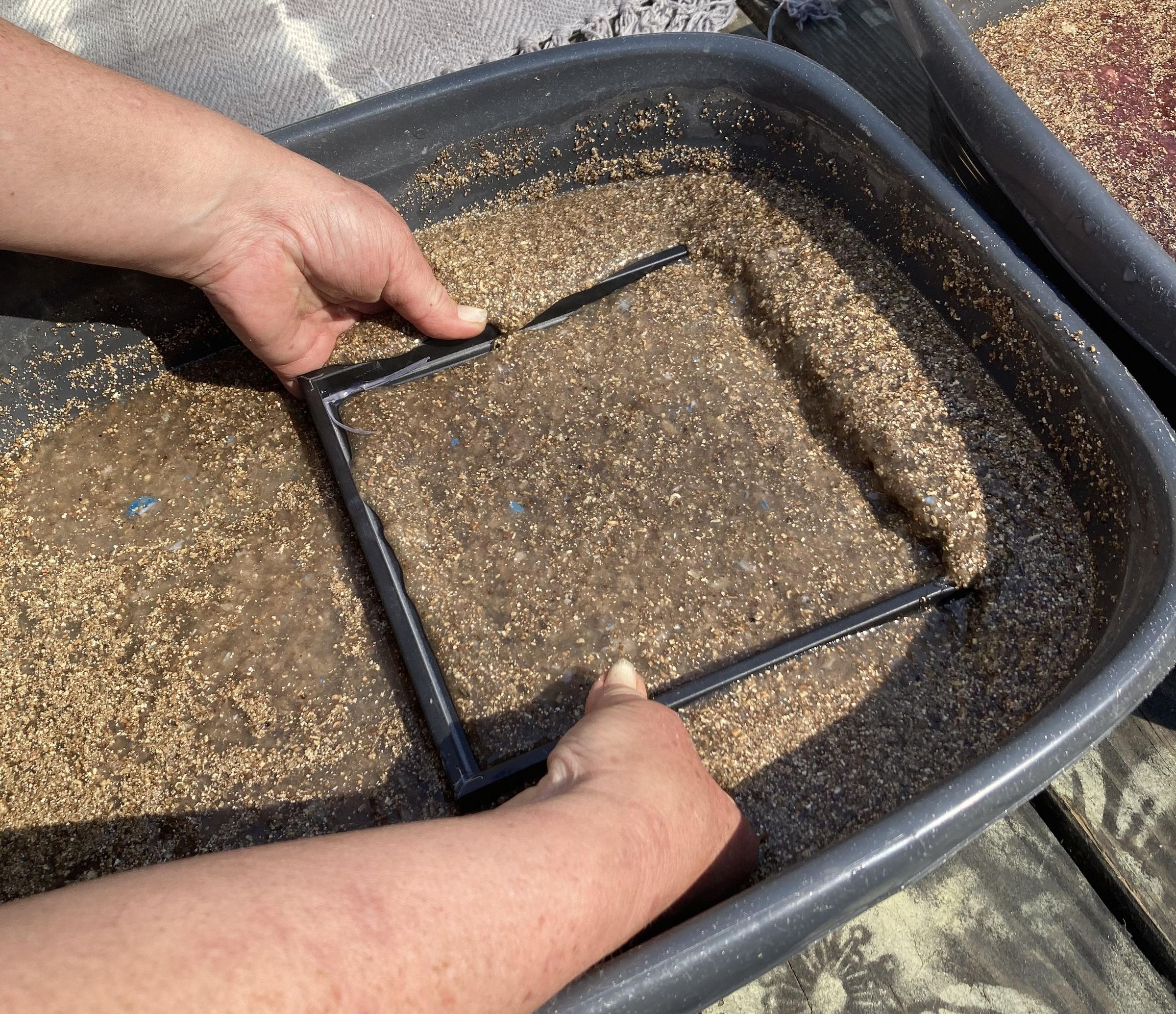 Seed Paper From Used Cardboard Boxes : 8 Steps (with Pictures ...