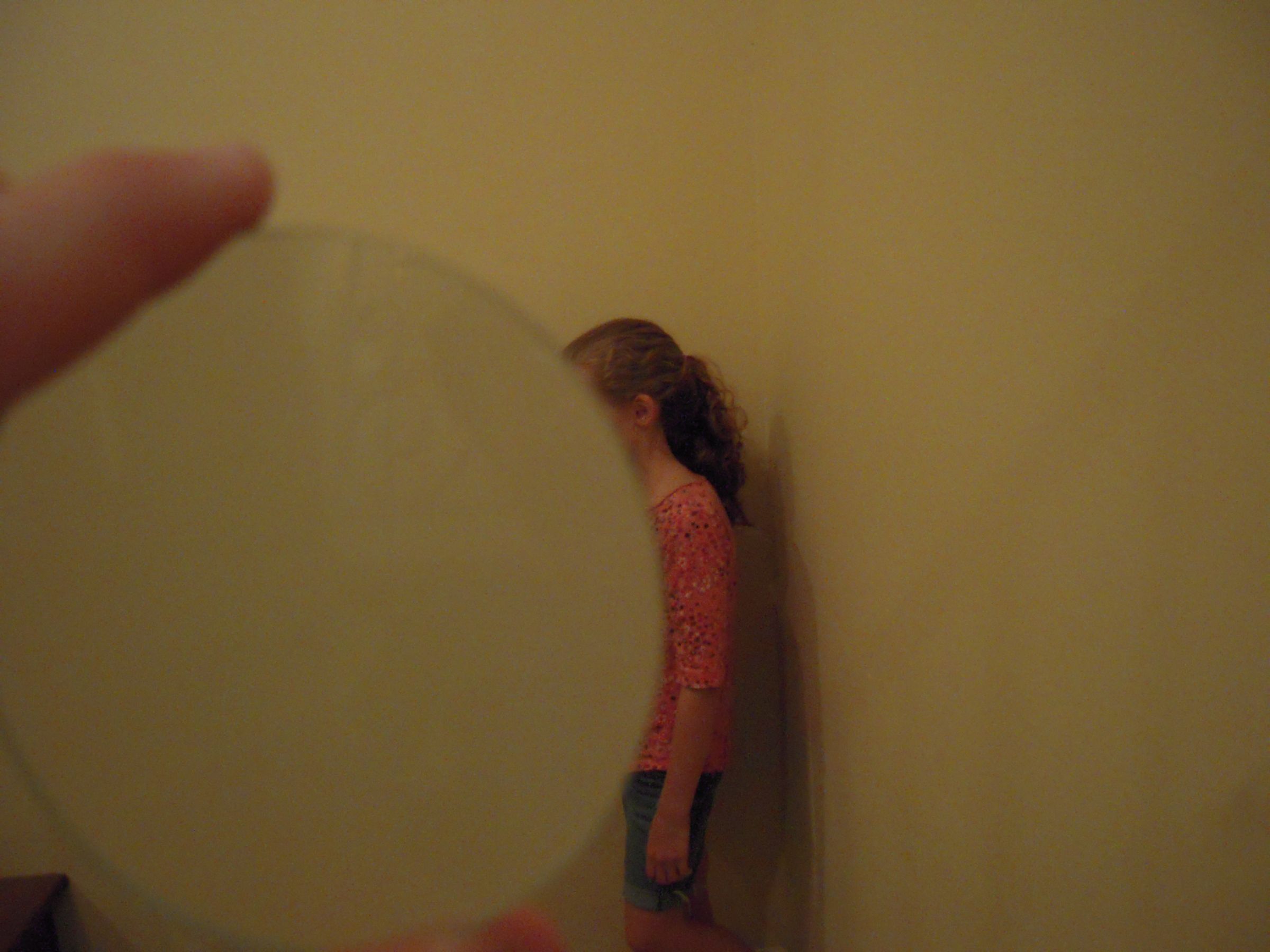 How to Prove That Your Siblings Are Ghosts. (With Photographic Evidence ...