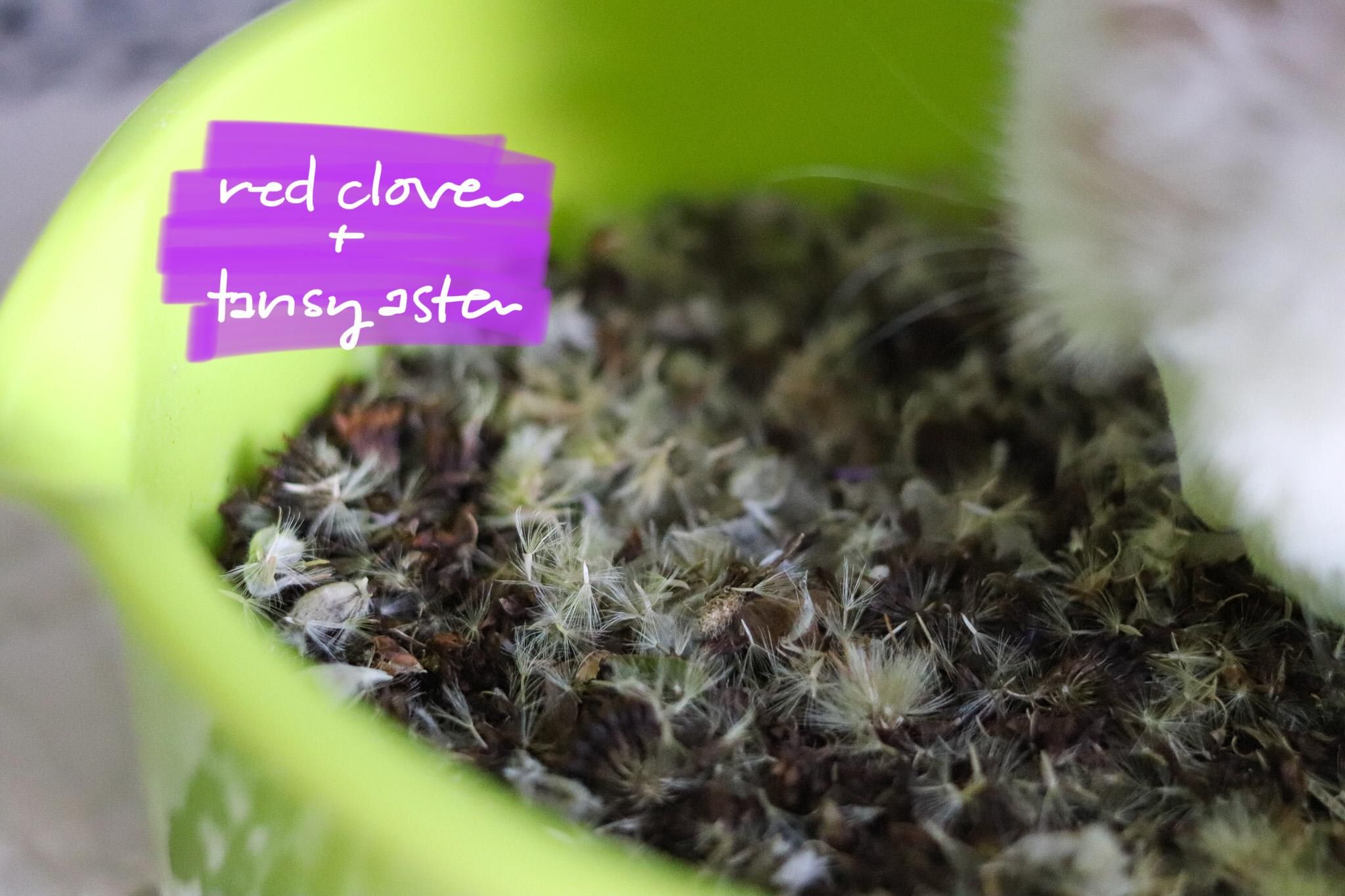How to Gather Wildflower Seeds : 7 Steps (with Pictures) - Instructables