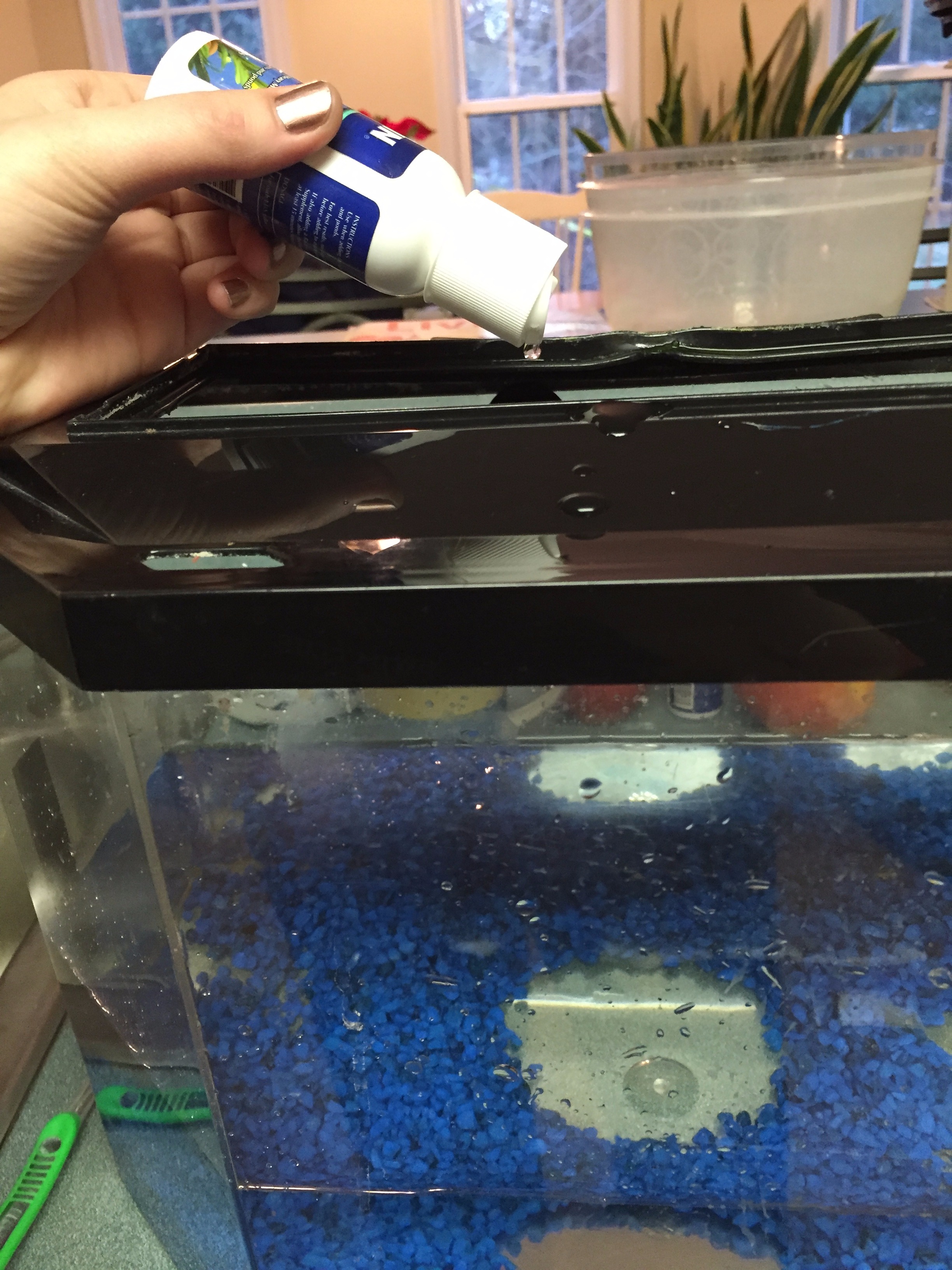 How to Clean Your Small Fish Tank : 7 Steps (with Pictures) - Instructables