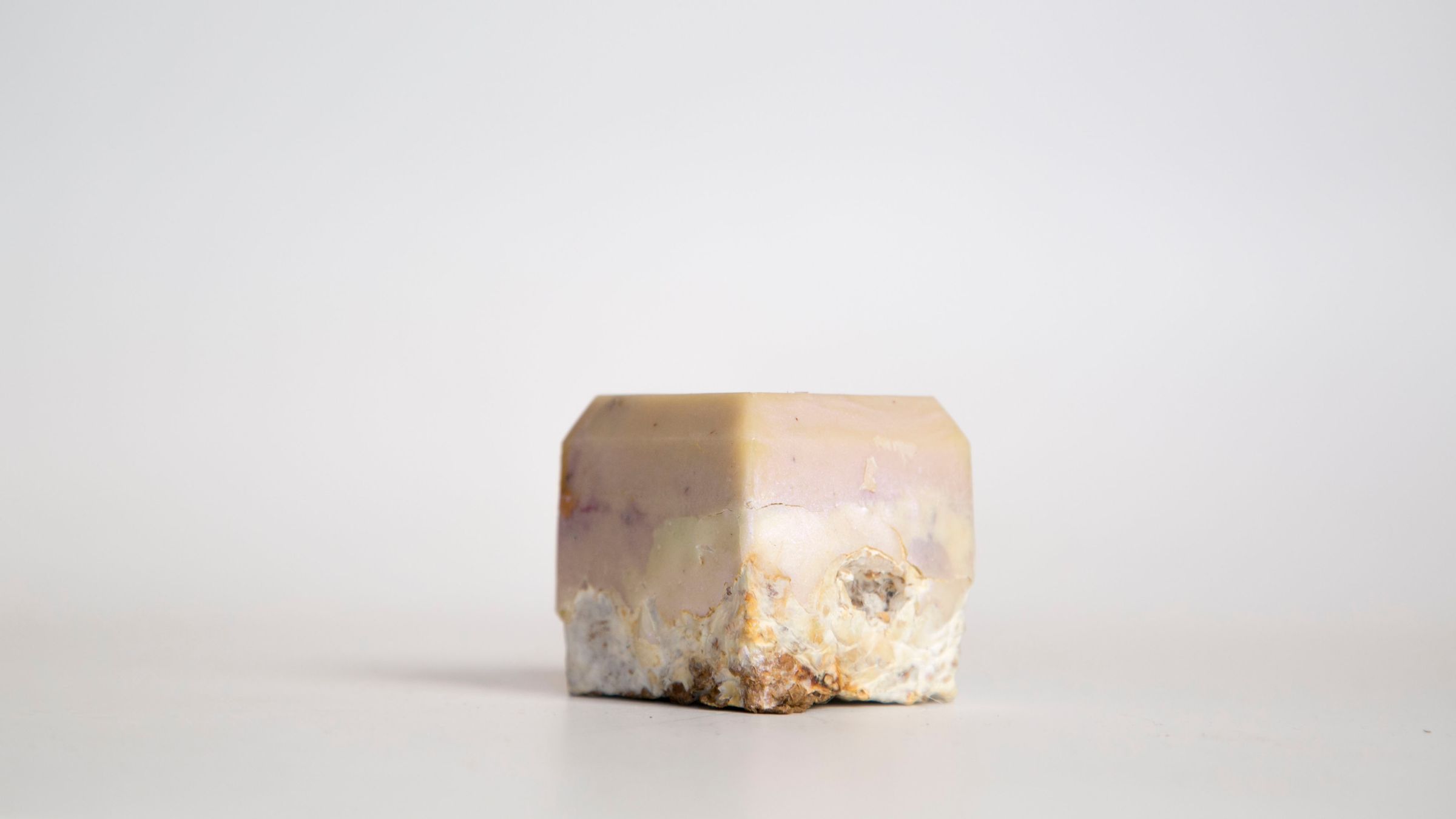 Mycelial Forms : 9 Steps (with Pictures) - Instructables