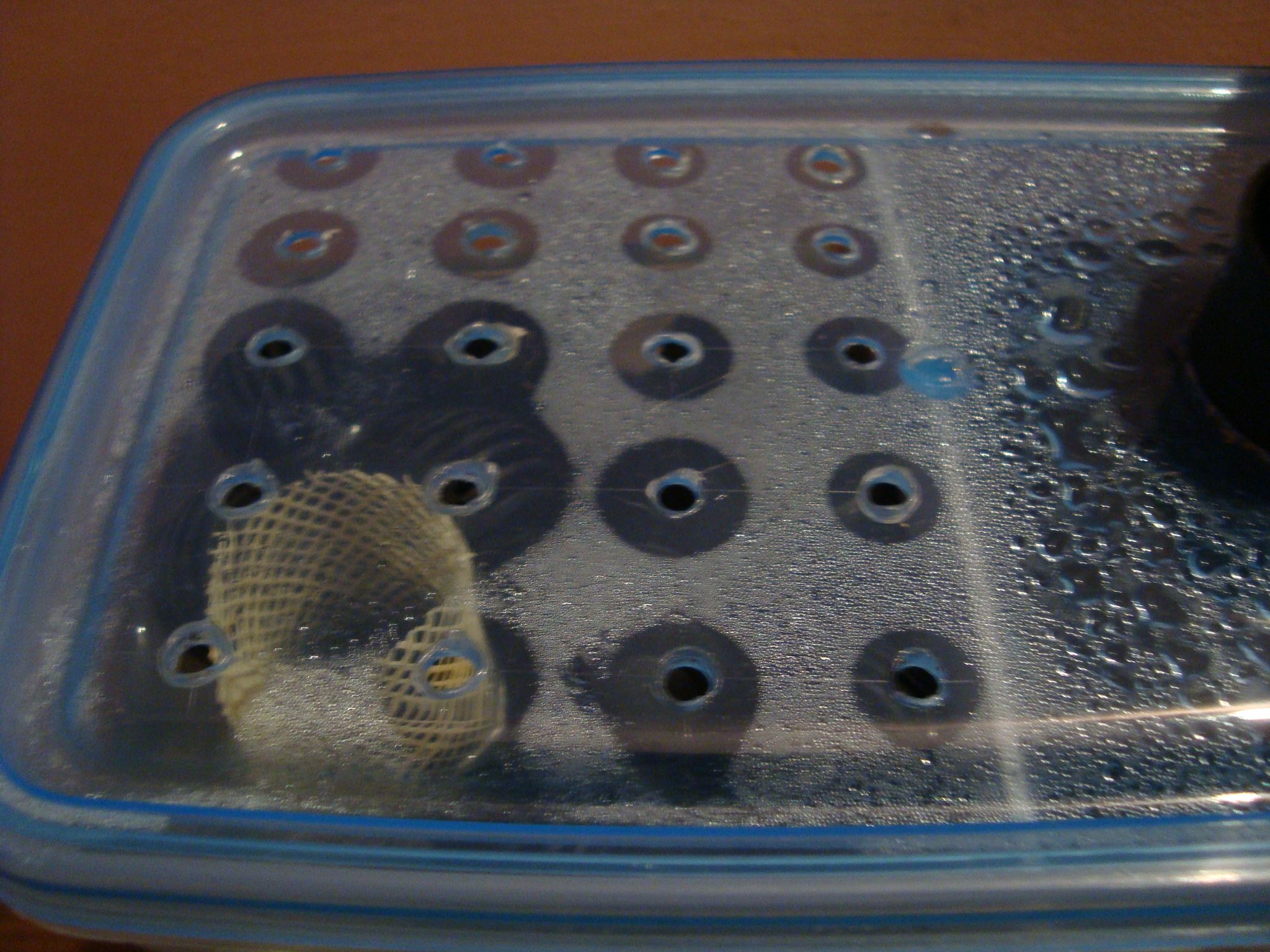 Diy Sump Filter for Aquariums : 7 Steps - Instructables