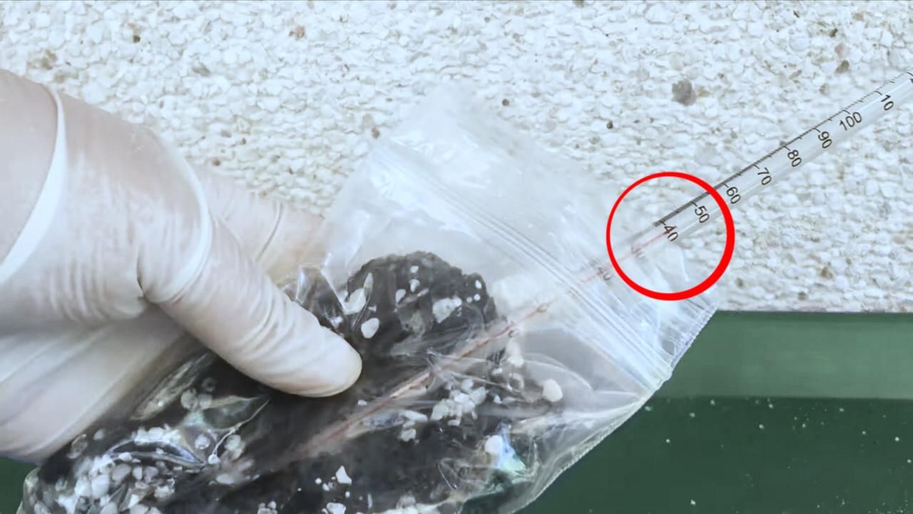 DIY Hand Warmer Using a Simple Chemical Reaction : 5 Steps - Instructables