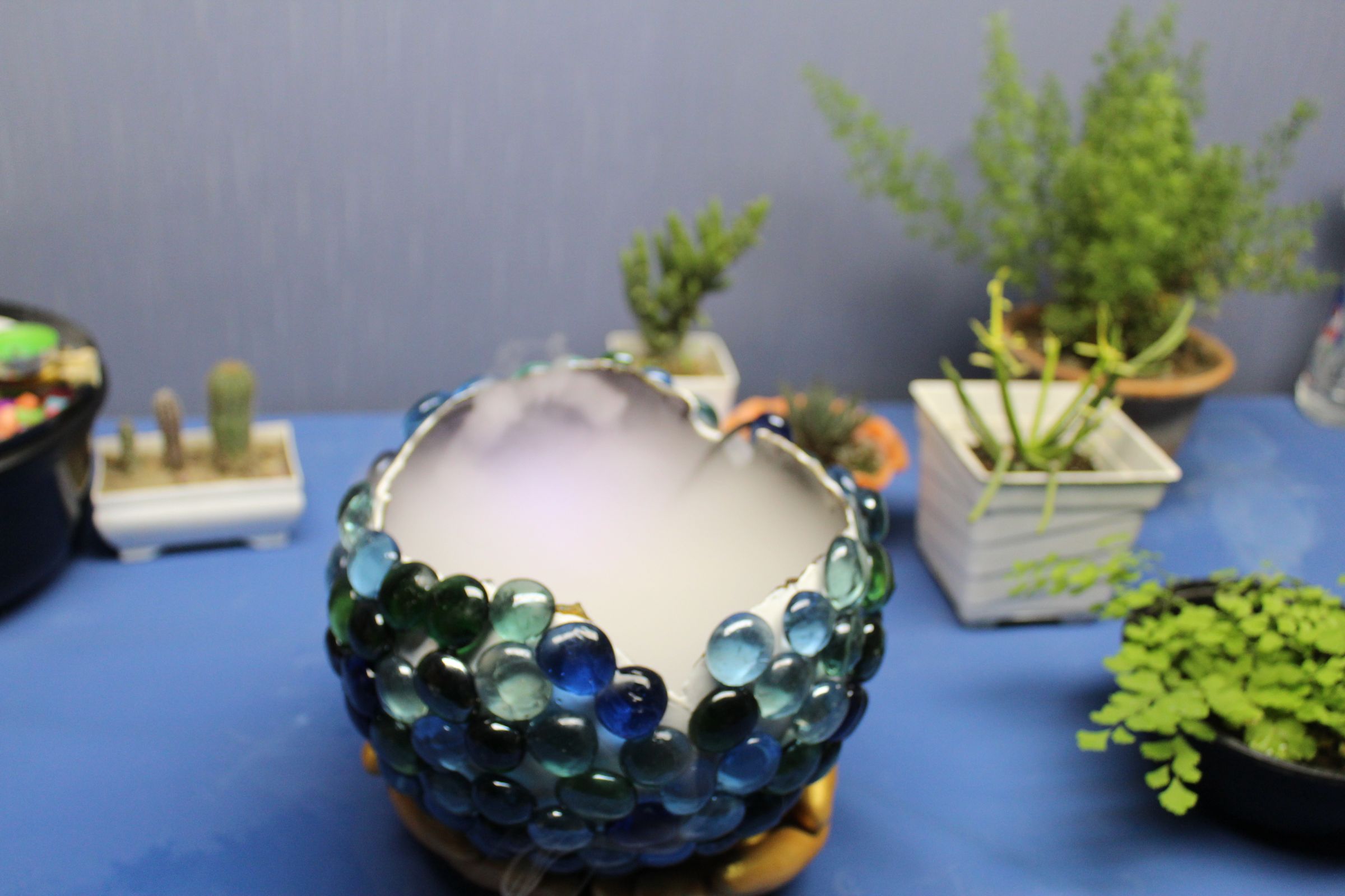 How to Make Mist Planter for Ferns | Indoor Garden DIY by RusticKraft ...