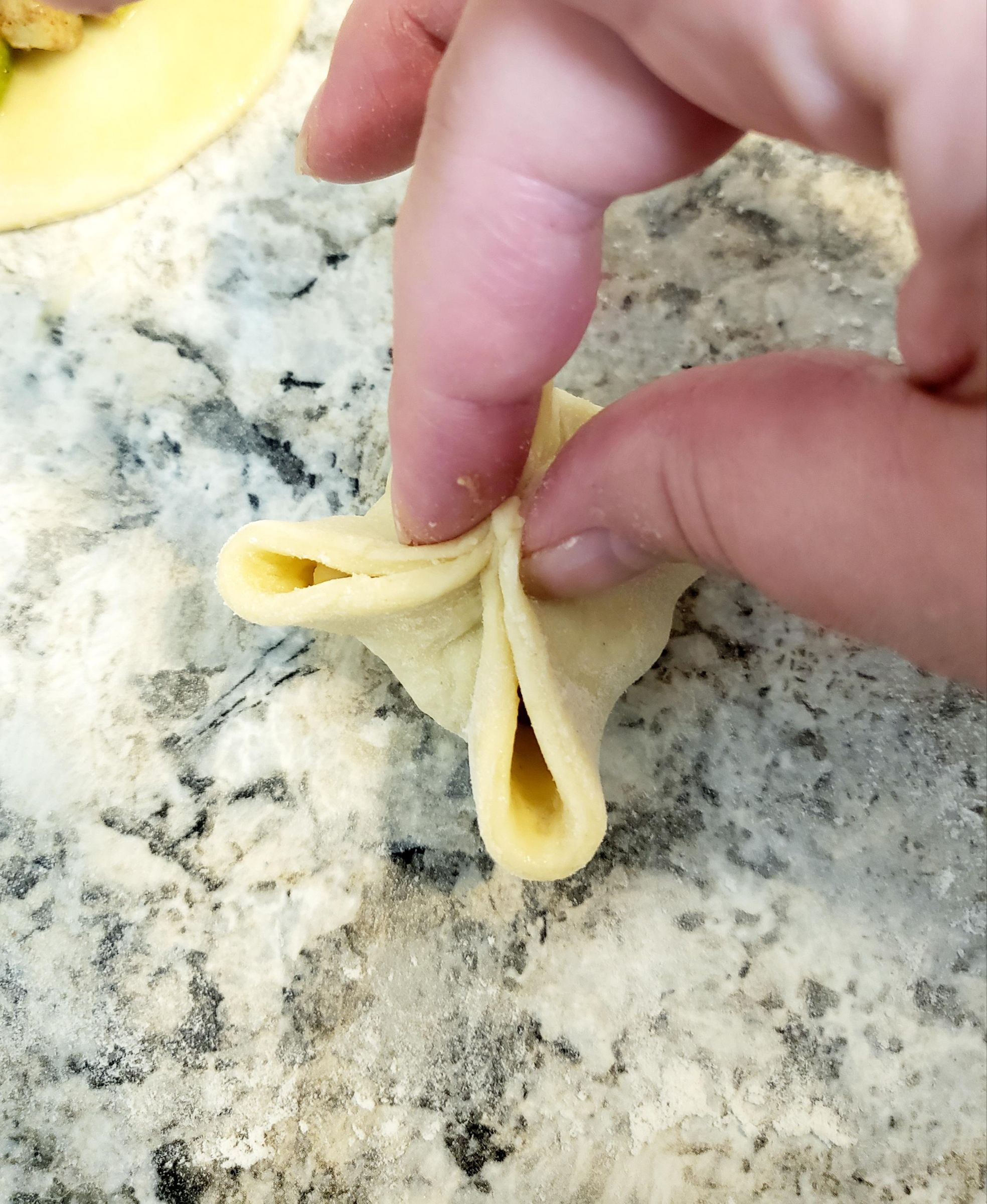 Floral Pinch Pies : 17 Steps (with Pictures) - Instructables