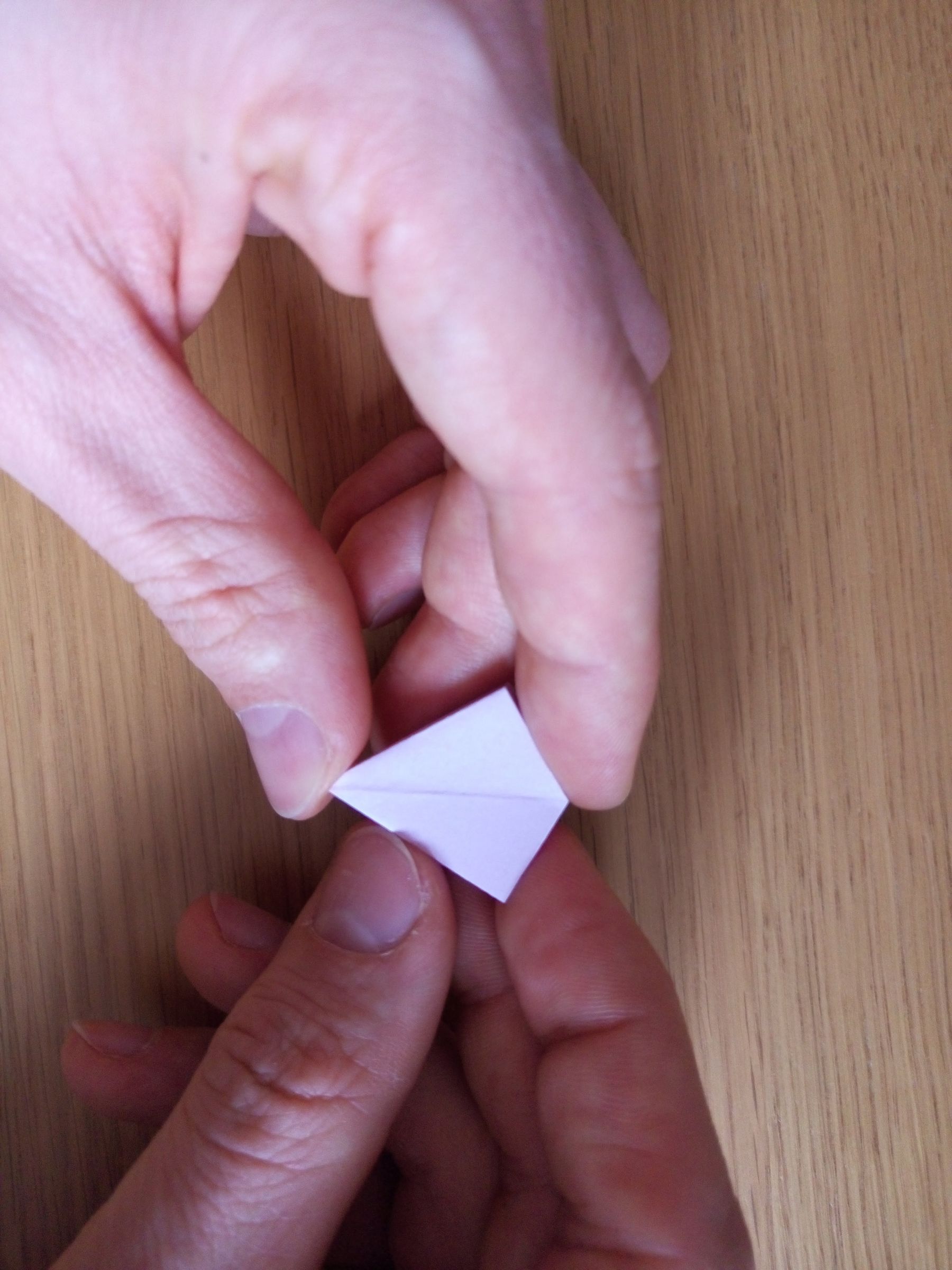 Origami Hyacinth : 9 Steps (with Pictures) - Instructables