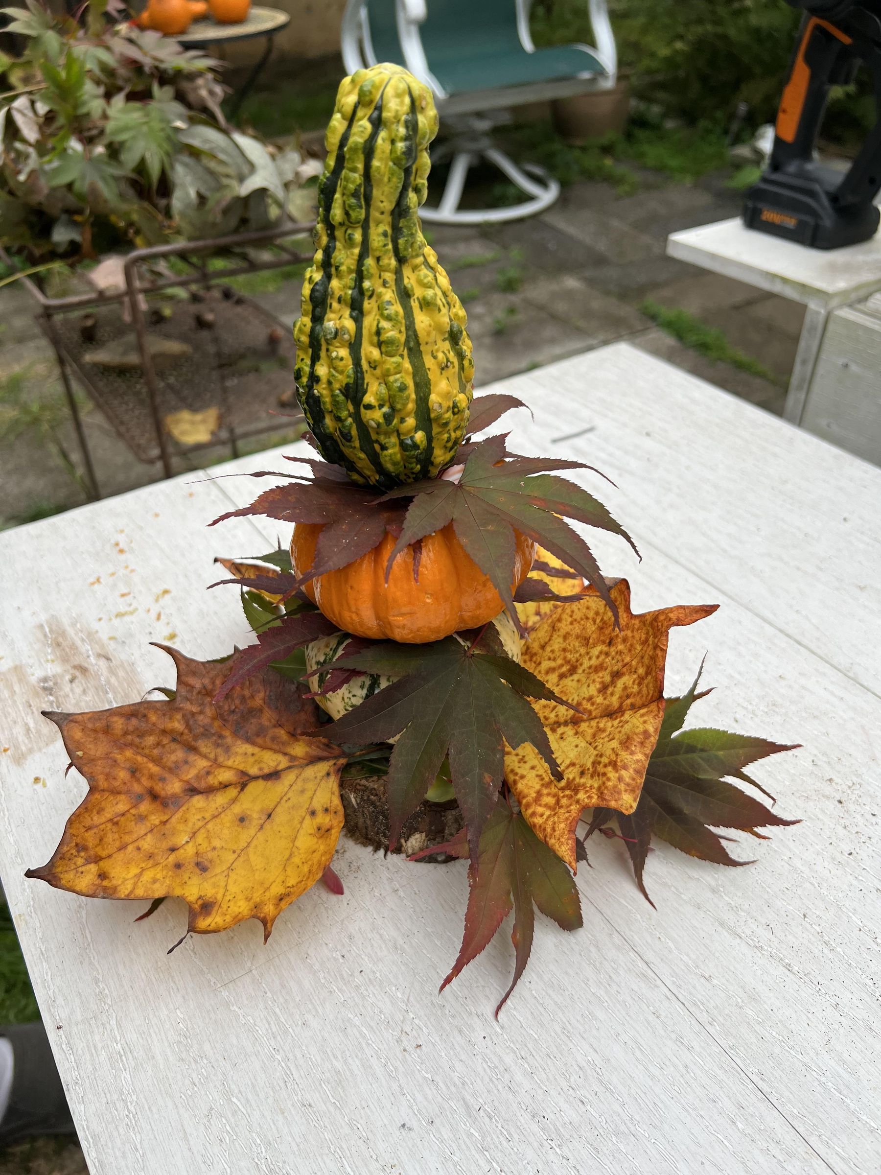 Make Festive Gourd Trees : 12 Steps (with Pictures) - Instructables