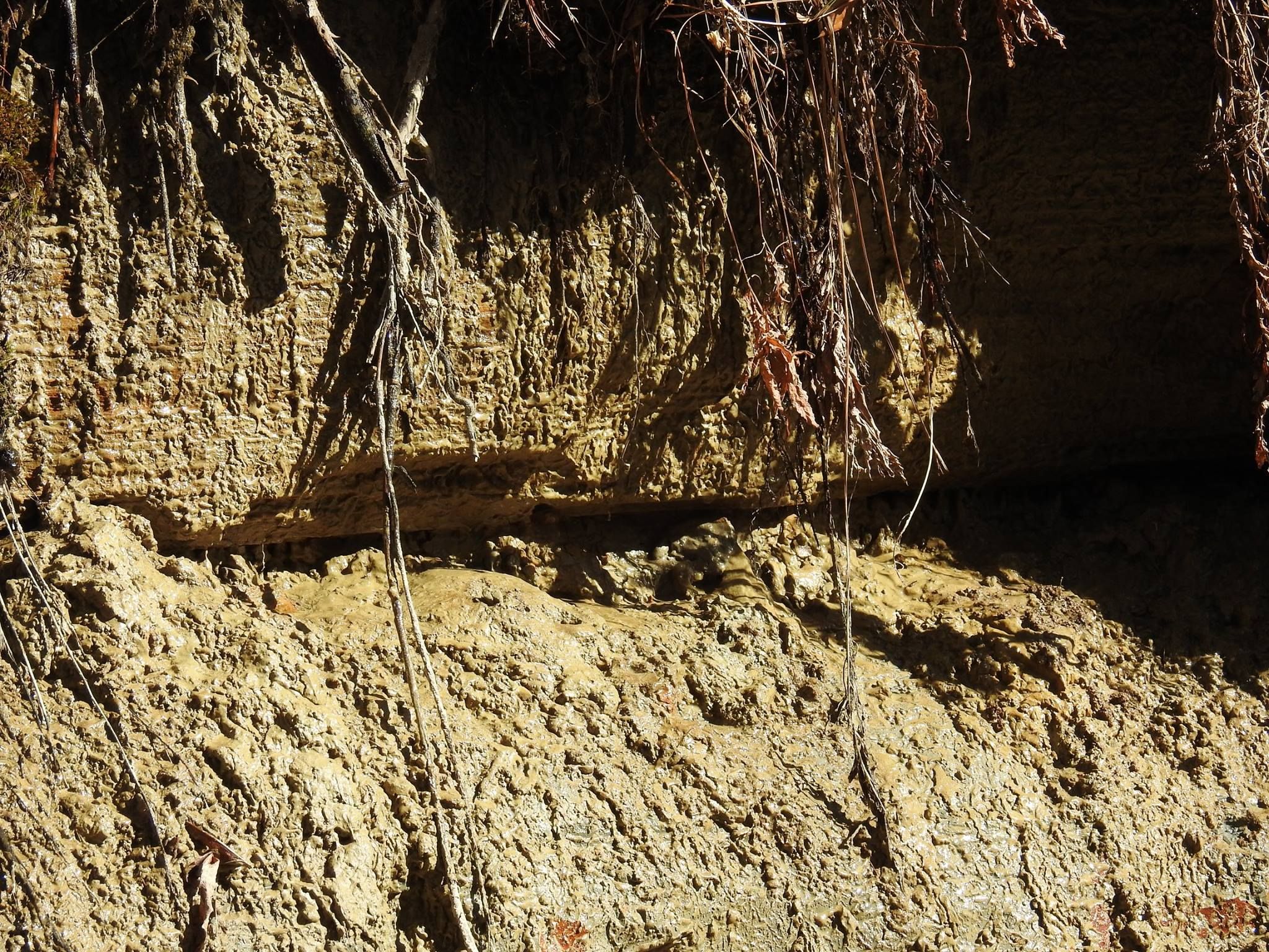 Finding and Processing Your Own Natural Clay : 5 Steps (with Pictures ...