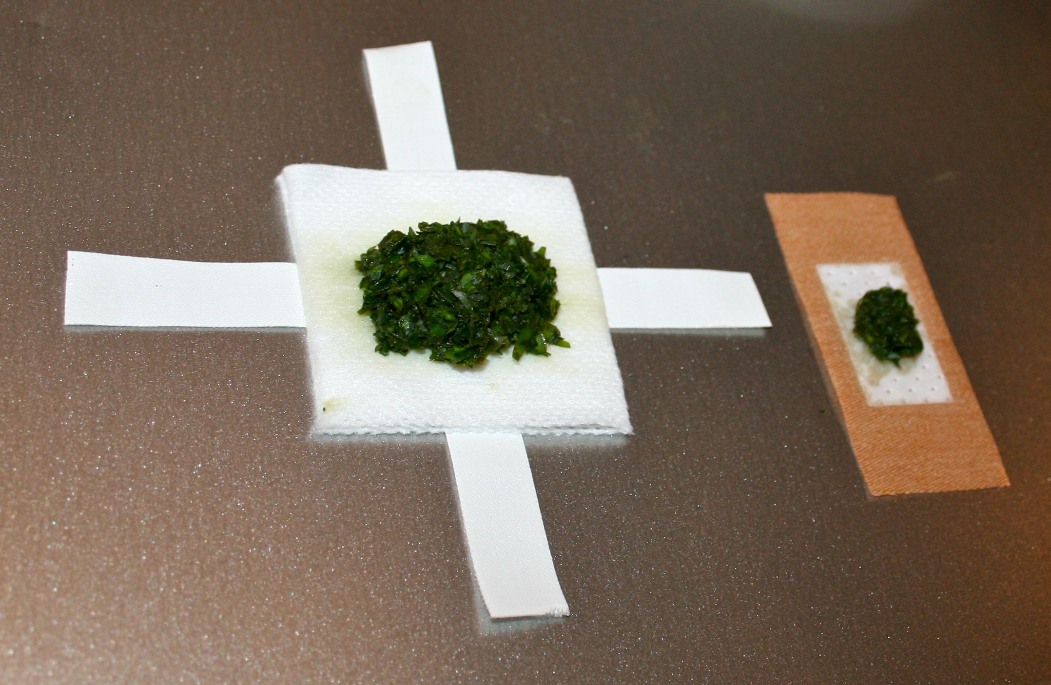 Plantain Poultice: Boils, Blisters & Bug Bites : 9 Steps (with Pictures ...