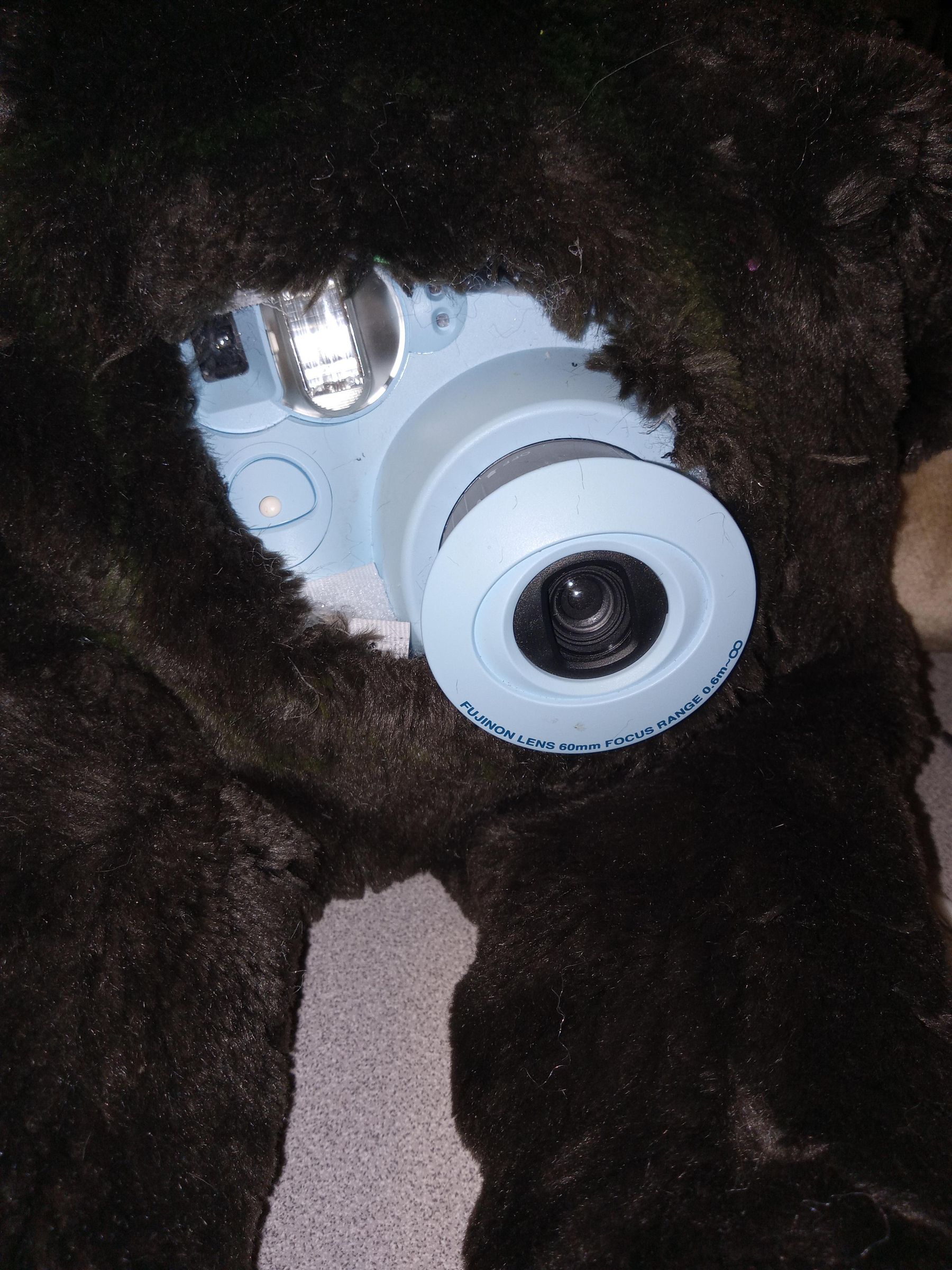 A Picture Taking Bear : 10 Steps - Instructables