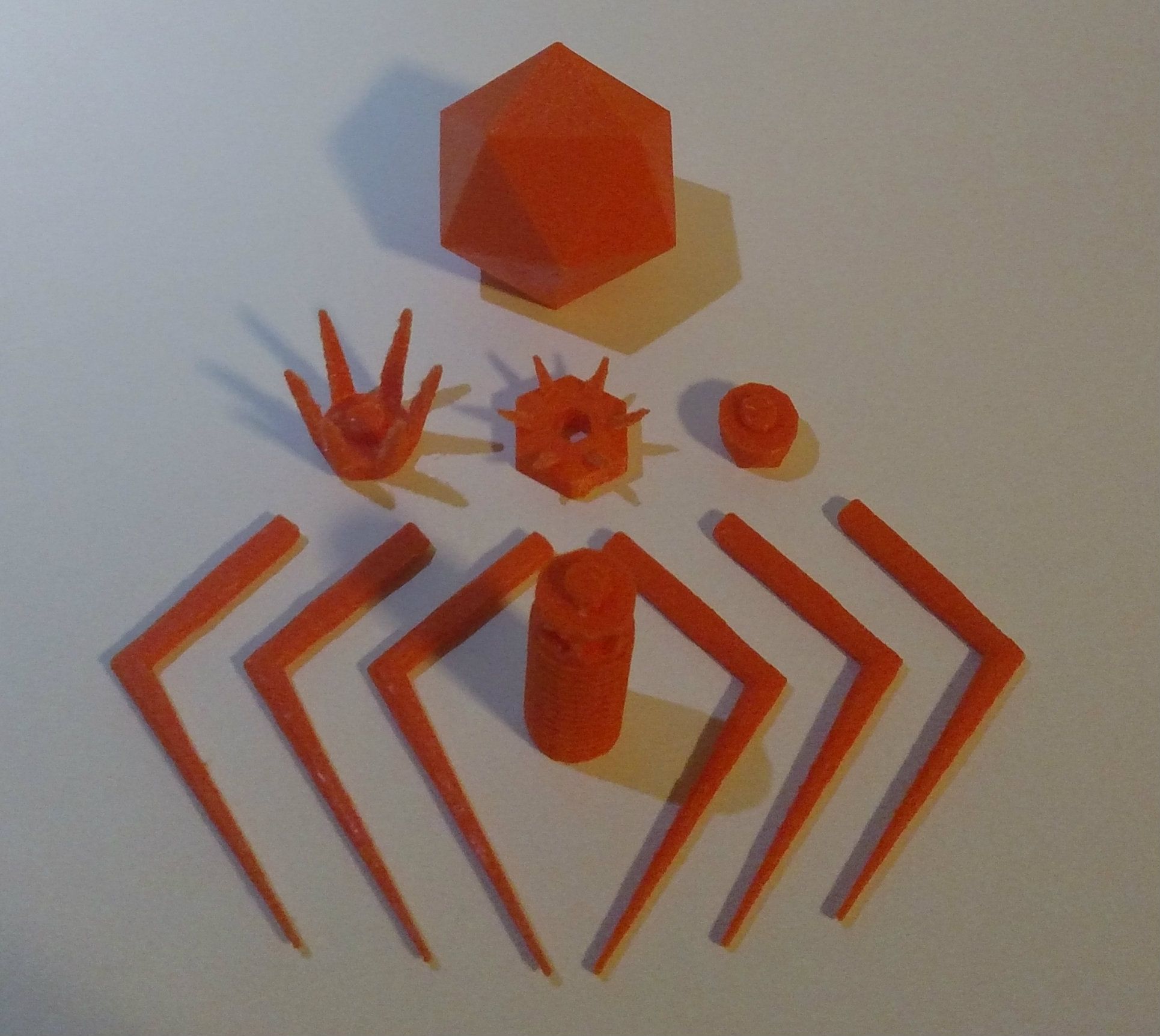 Virus 3d Model Project