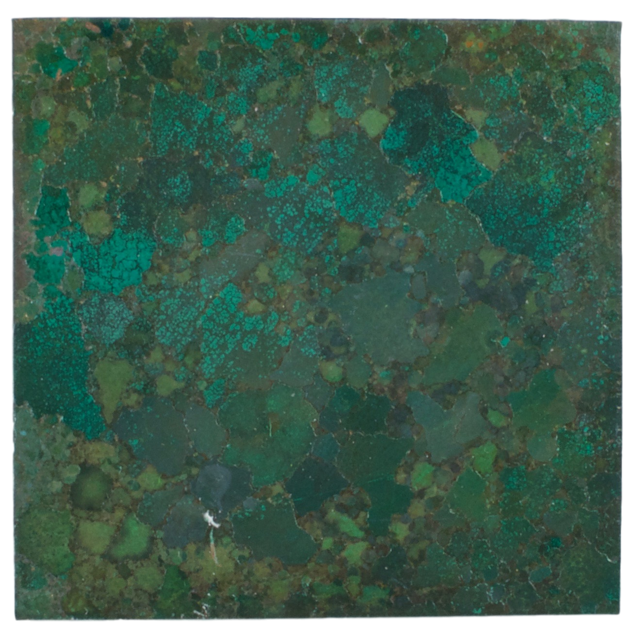 Watercolour Paper and Ammonia Patina on Copper. : 8 Steps - Instructables