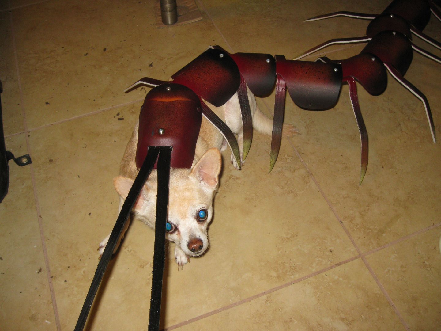 Giant PVC Centipede- 10 Feet of Nightmare Fuel : 7 Steps (with Pictures ...