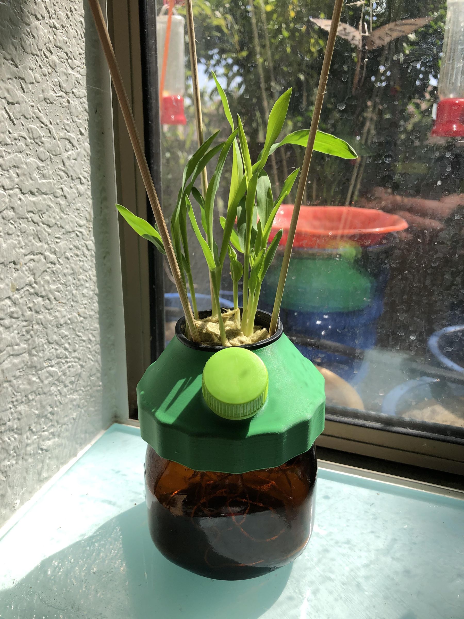 Mini Kratky Jars - Easy Hydroponics : 12 Steps (with Pictures ...