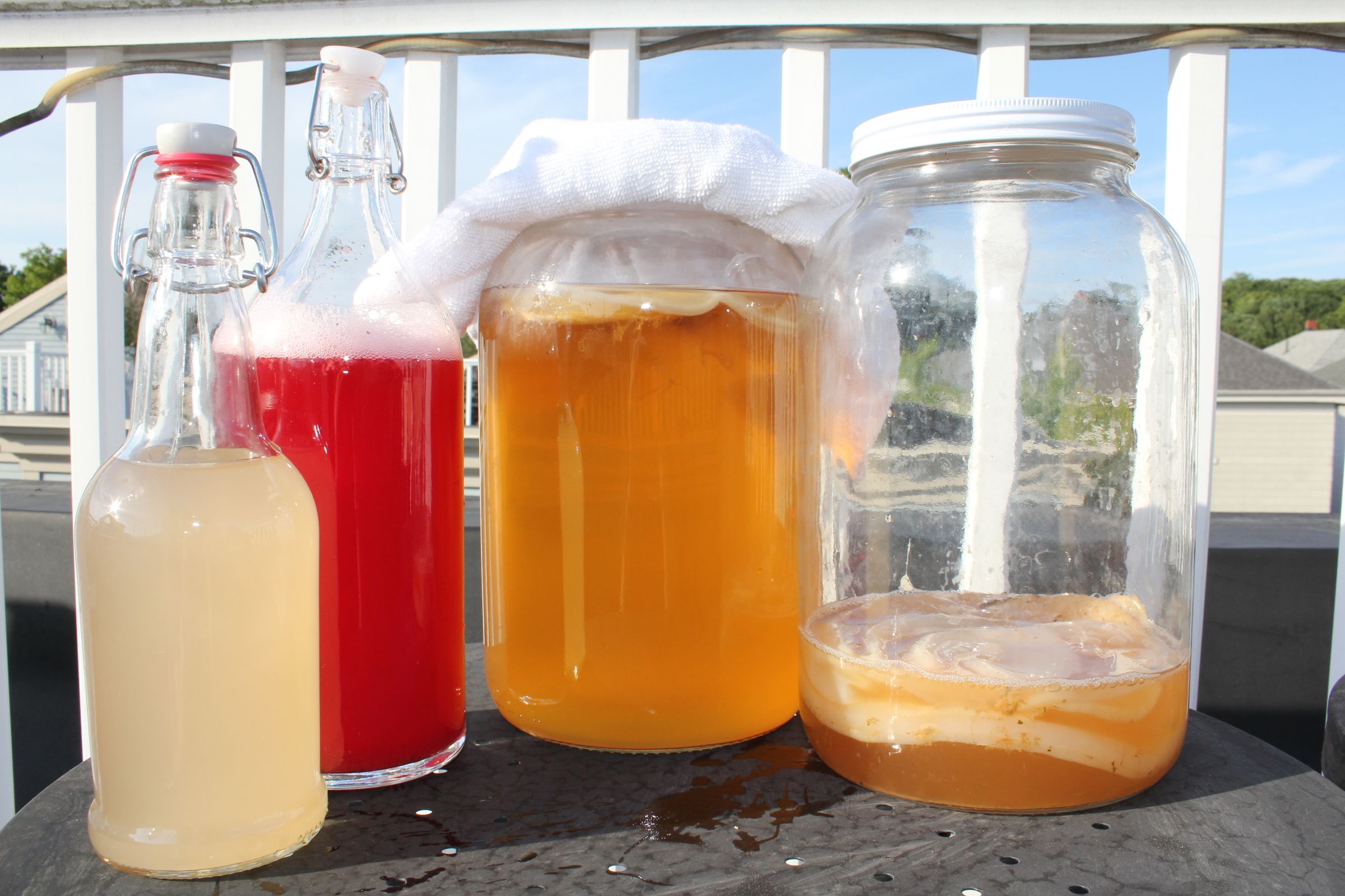 Double Fermented Kombucha : 10 Steps (with Pictures) - Instructables