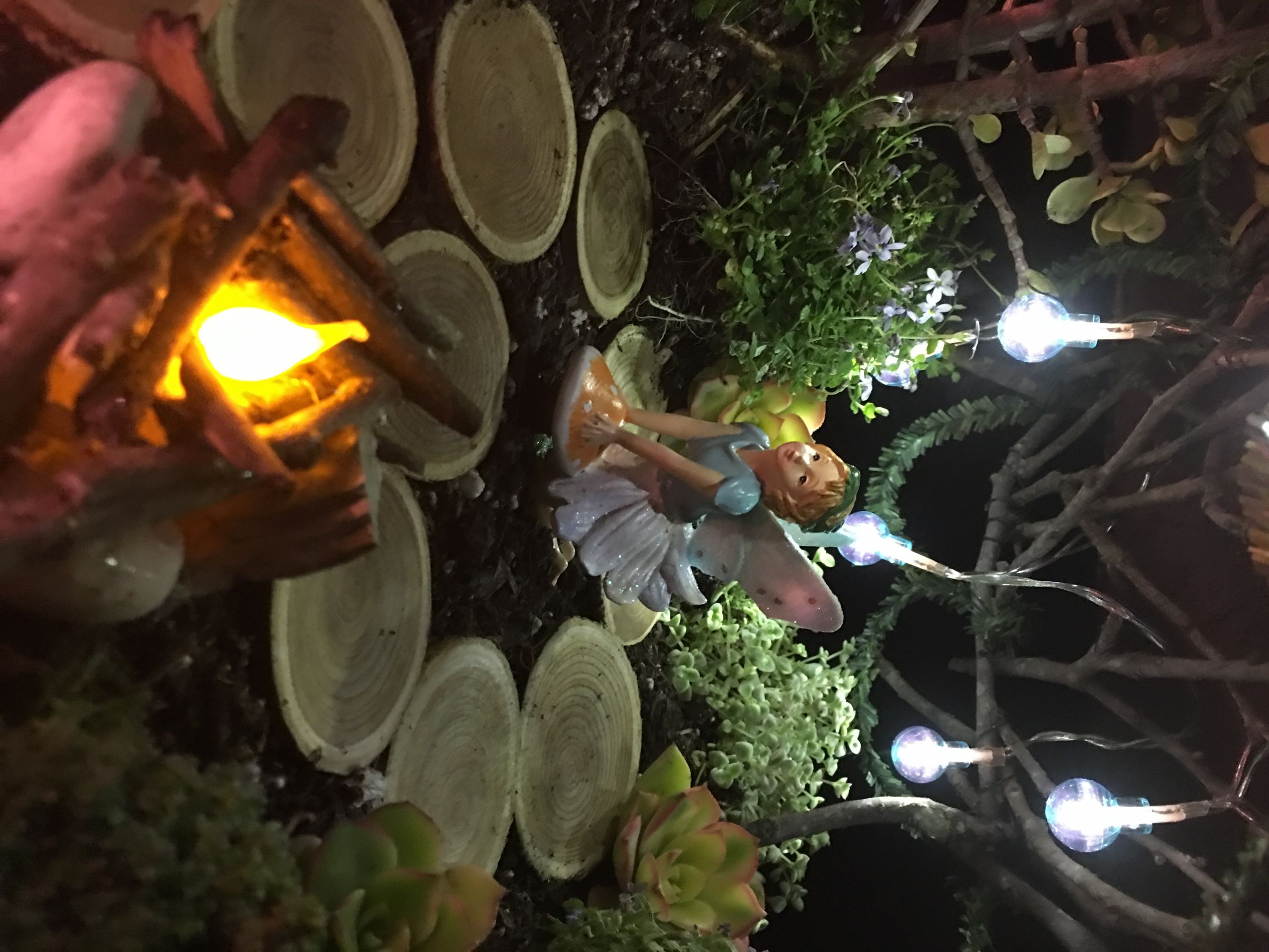 a Magical Lighted Fairy Garden! : 8 Steps (with Pictures) - Instructables
