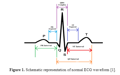 Introduction to Functional ECG Circuit : 8 Steps - Instructables