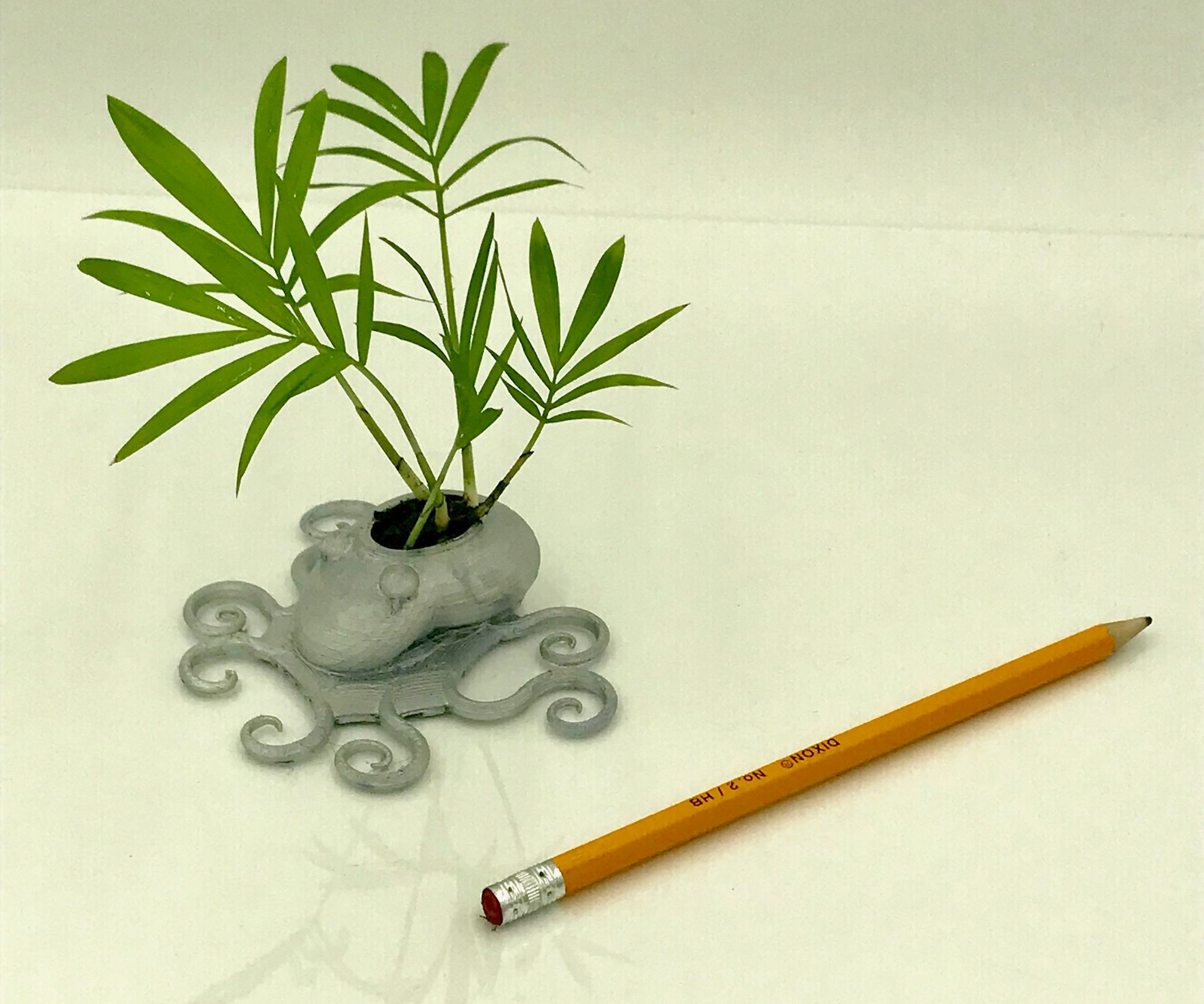 Mini Octopus Planter : 3 Steps (with Pictures) - Instructables