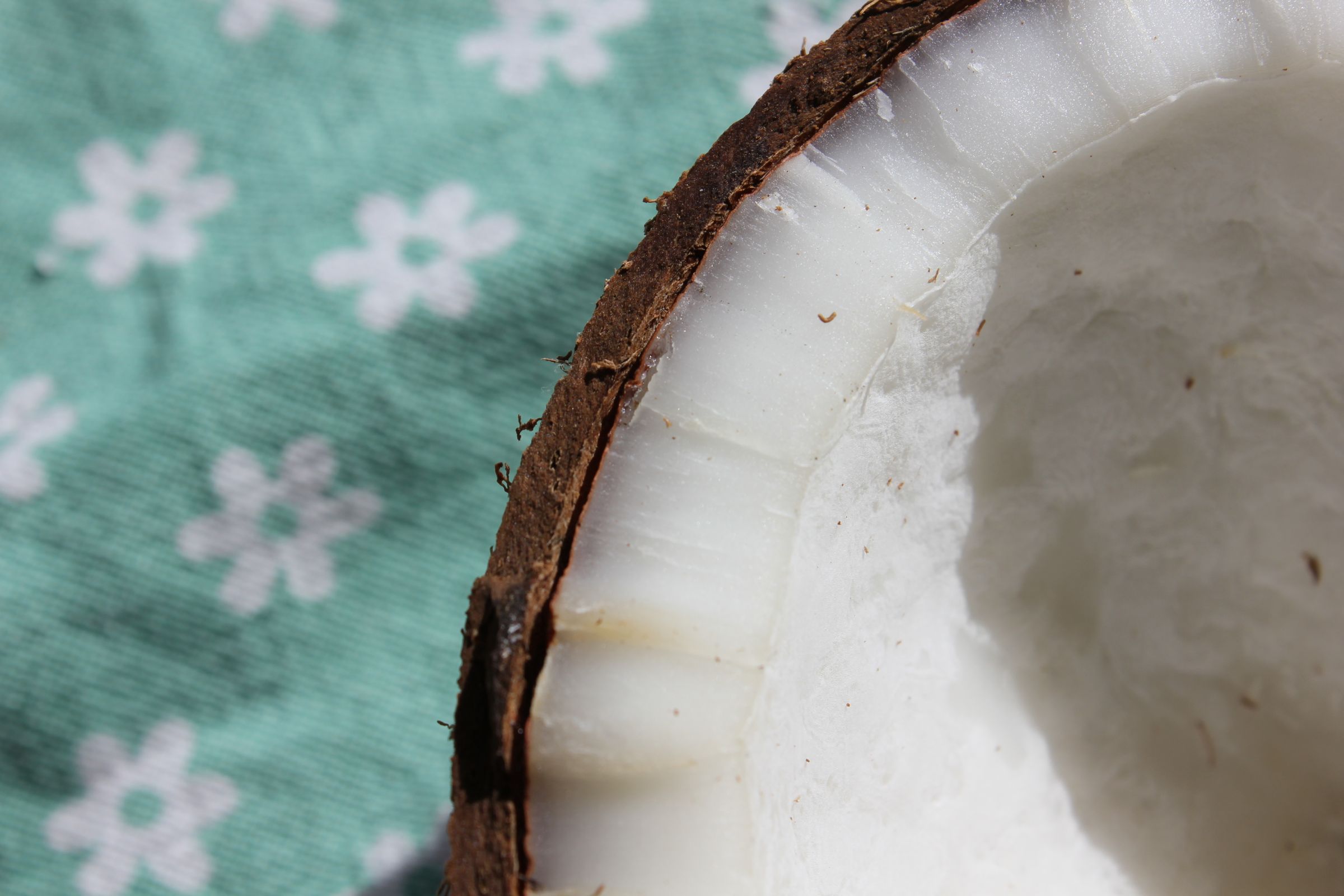 Crack Open a Coconut : 4 Steps - Instructables