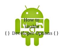Enable Developer Options on an Android Phone : 4 Steps - Instructables