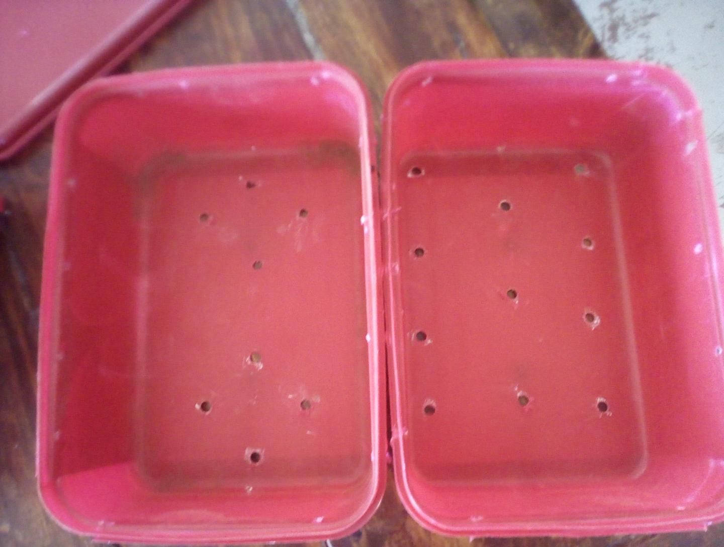 Mini Wormery (easy) : 6 Steps - Instructables
