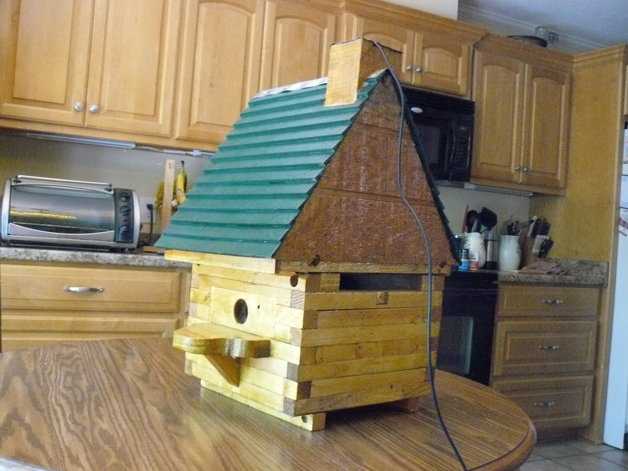Flying Squirrel House W/Spy Cam : 4 Steps (with Pictures) - Instructables