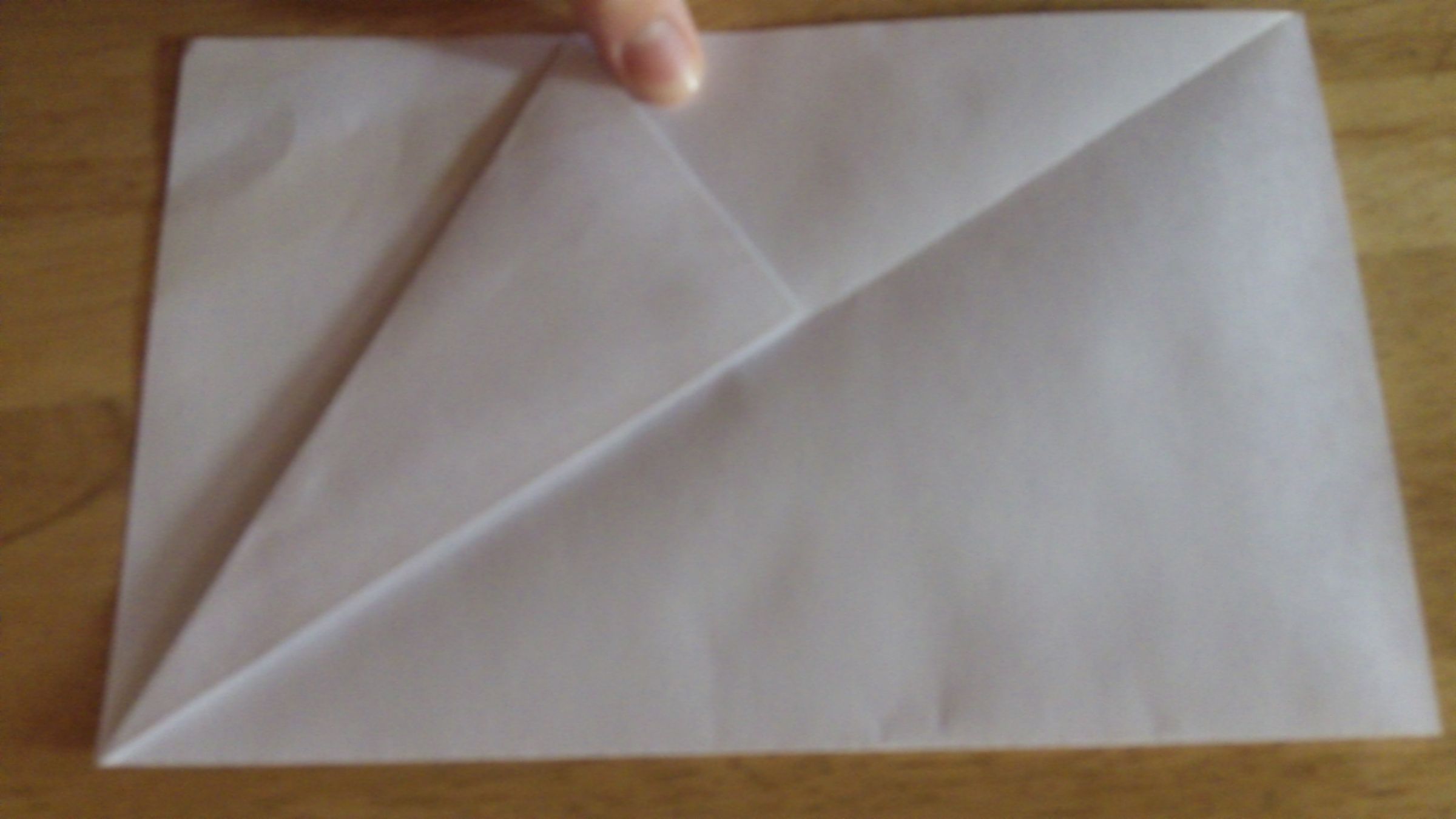 How to Make the Pelican Paper Airplane : 10 Steps - Instructables