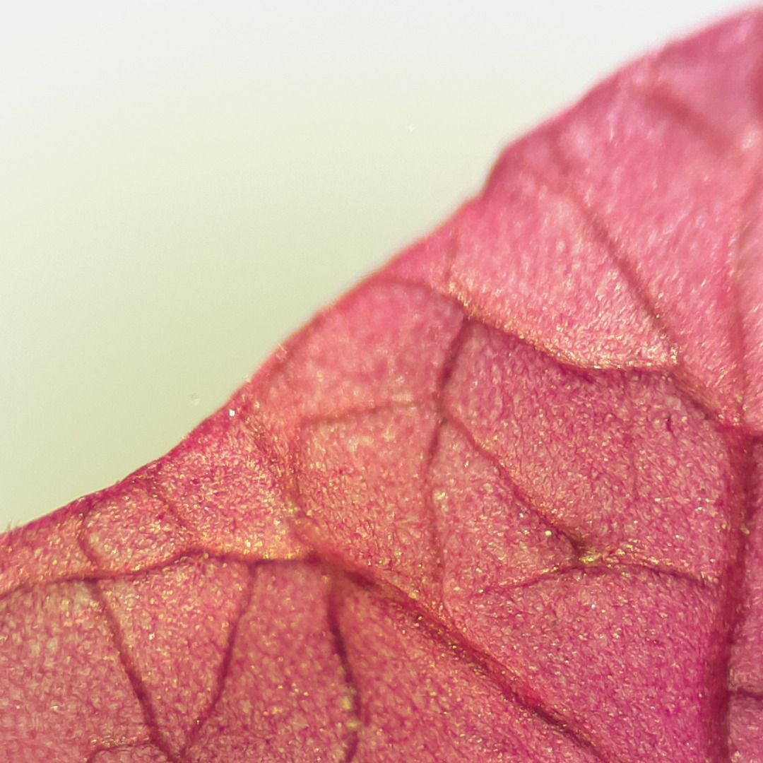 RPiScope: a Raspberry Pi Microscope, Build From Laser Cut Acrylic Parts ...