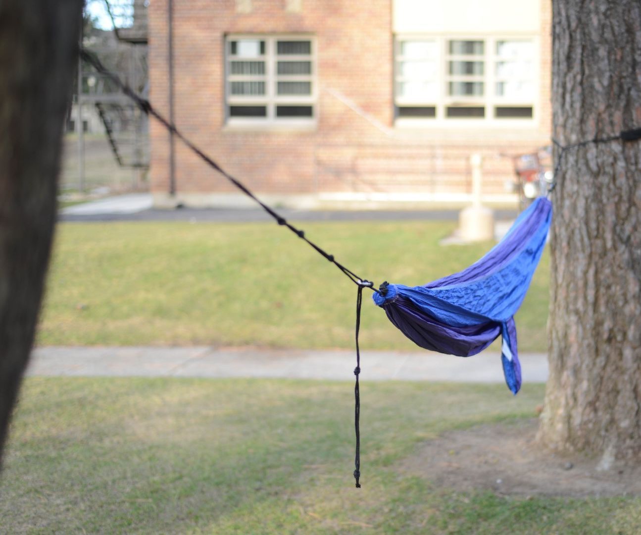 How to Properly and Safely Set Up a Hammock : 7 Steps (with Pictures ...