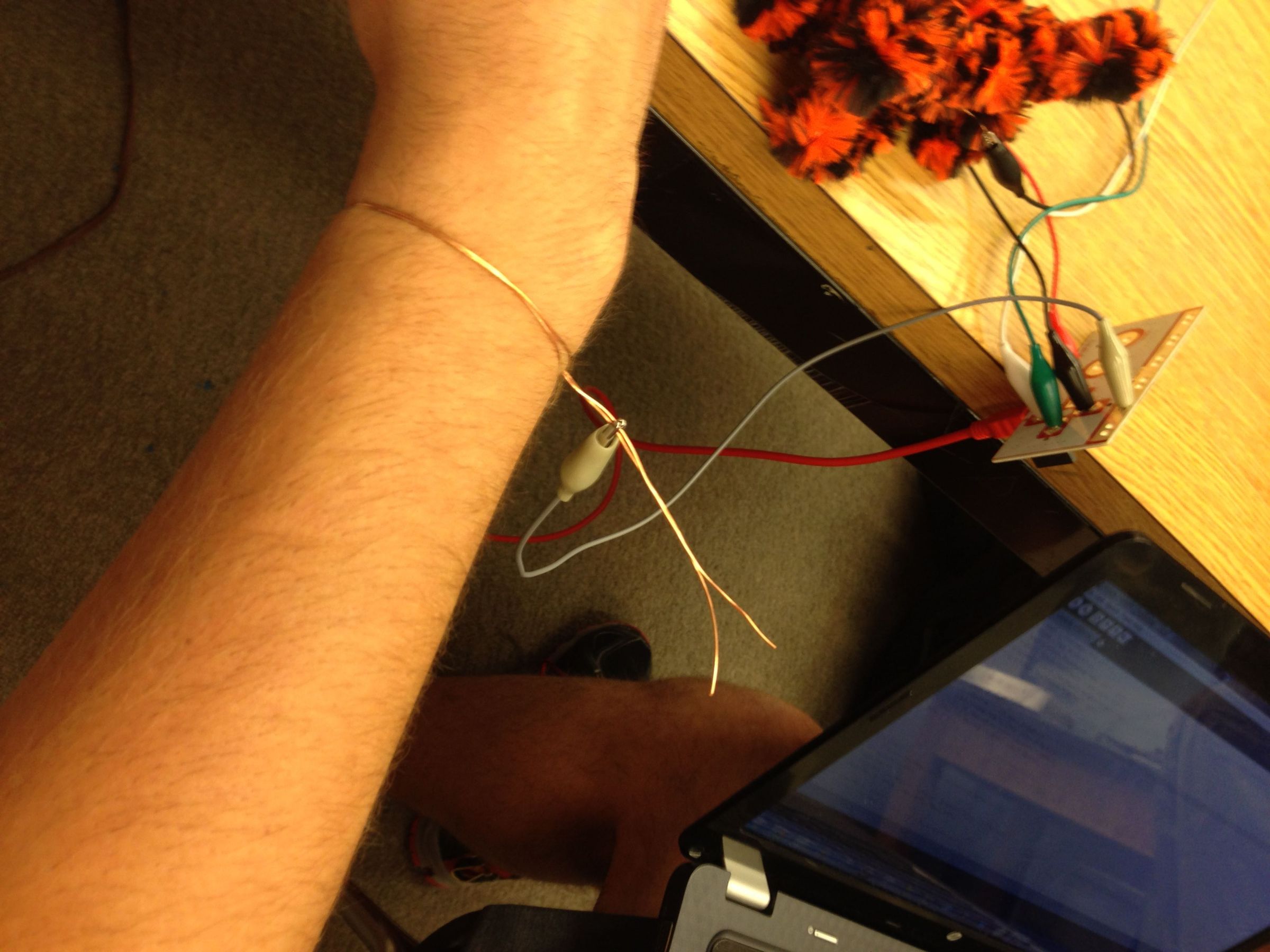 Interactive Makey Makey Animals : 5 Steps - Instructables