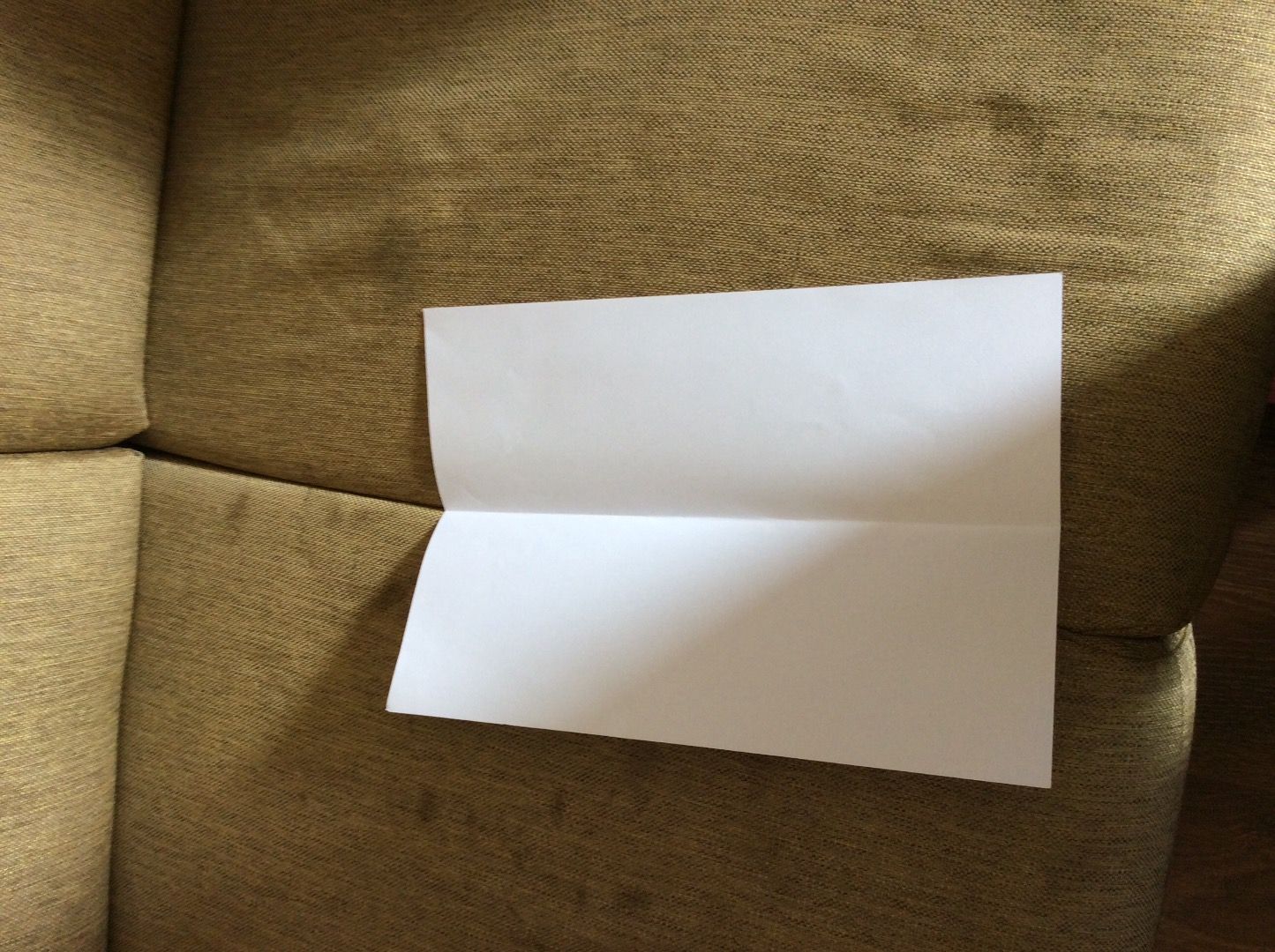 Paper Plane Doppelganger : 13 Steps - Instructables