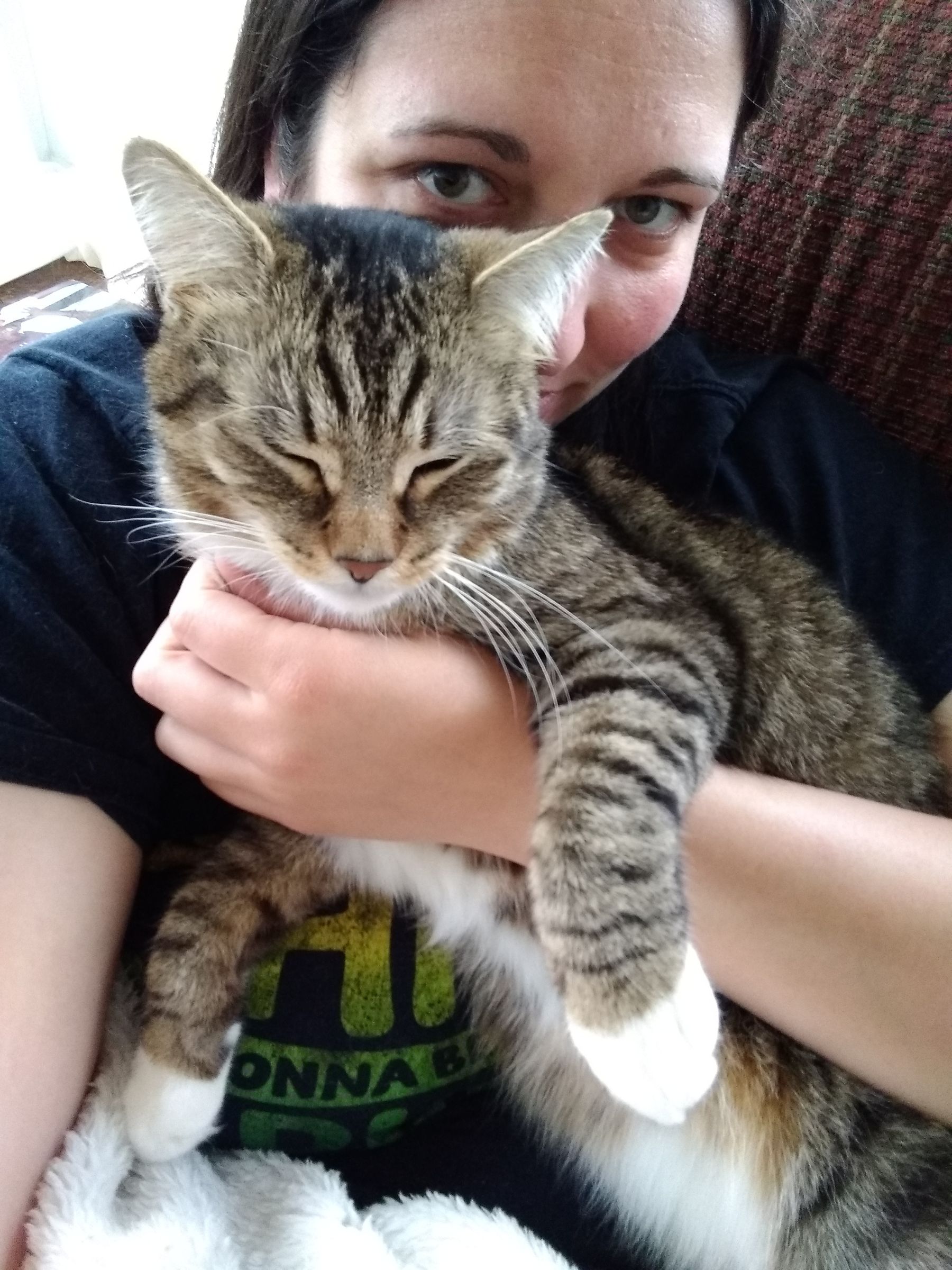 How To: Lull Your Cat to Sleep : 14 Steps (with Pictures) - Instructables