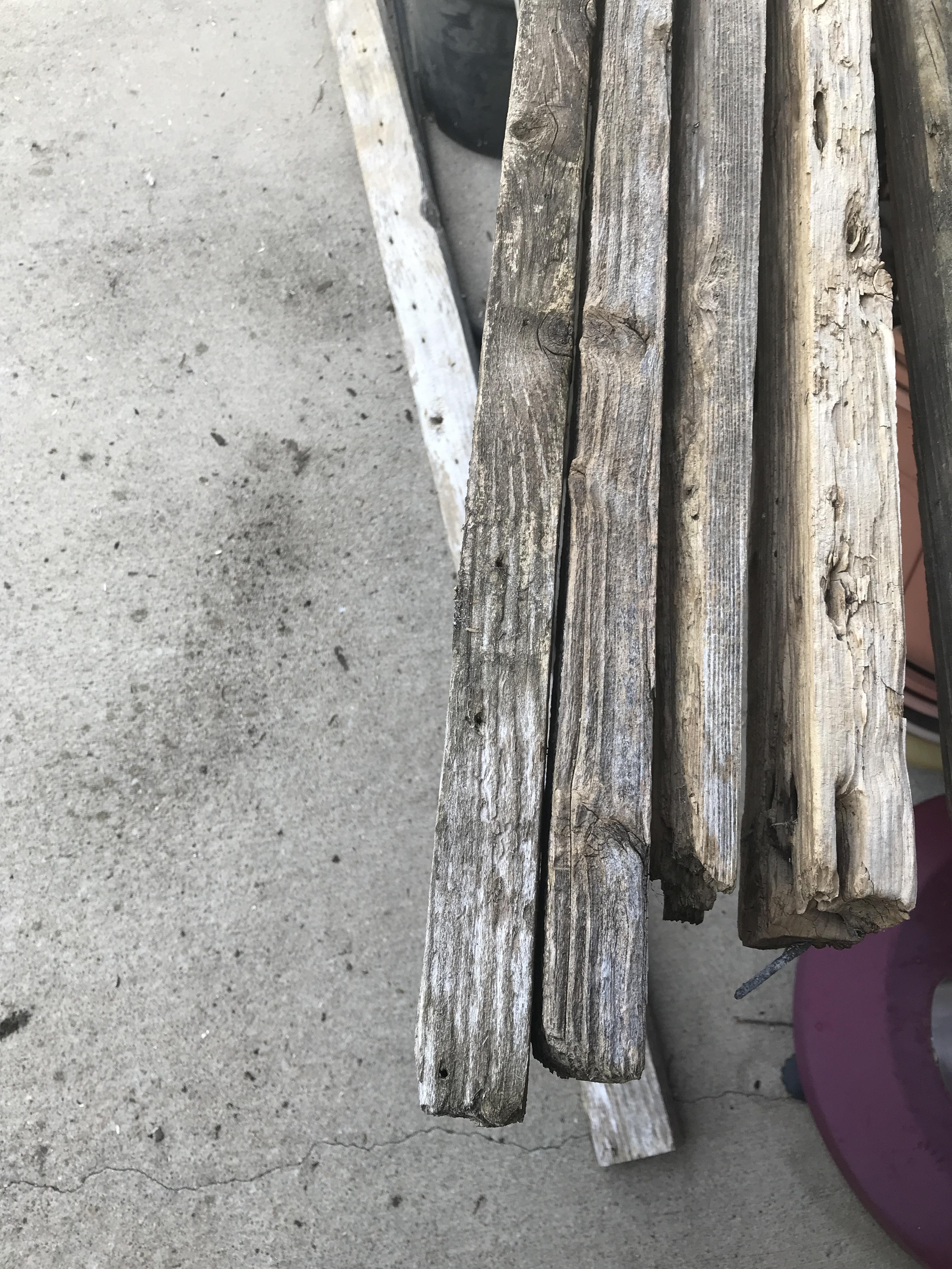 Bean Ladder : 4 Steps (with Pictures) - Instructables