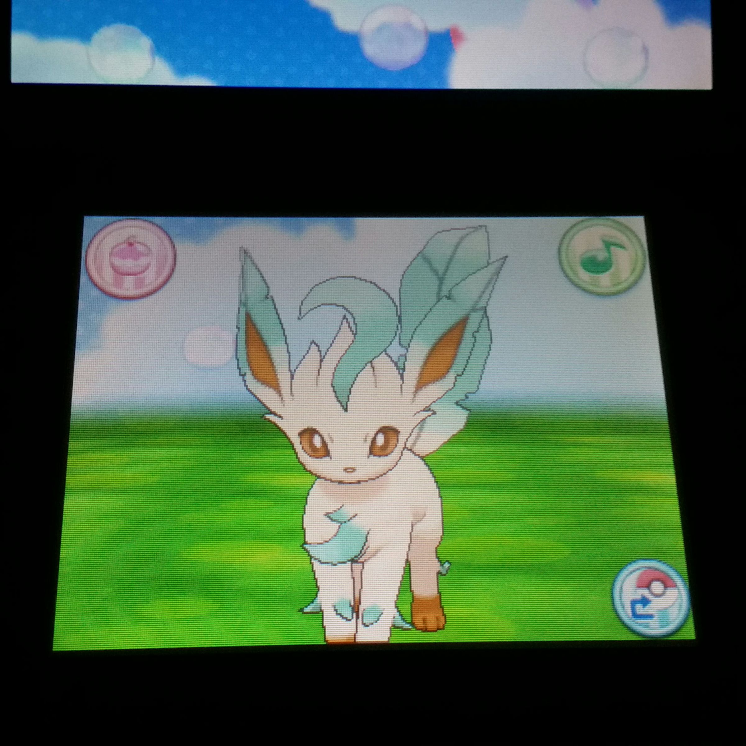 How to Use Pokemon Amie : 10 Steps - Instructables