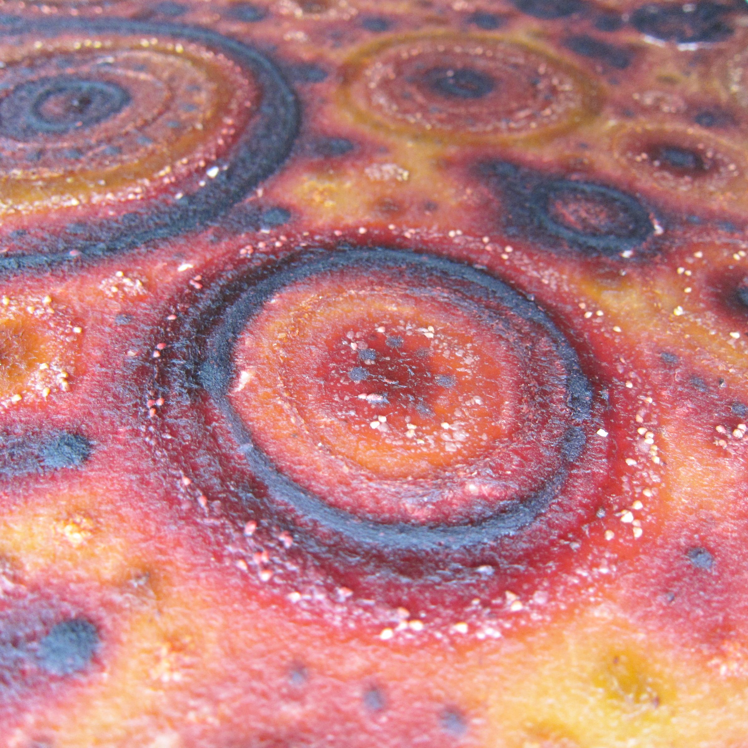 Patterned Fruit Leather : 3 Steps (with Pictures) - Instructables