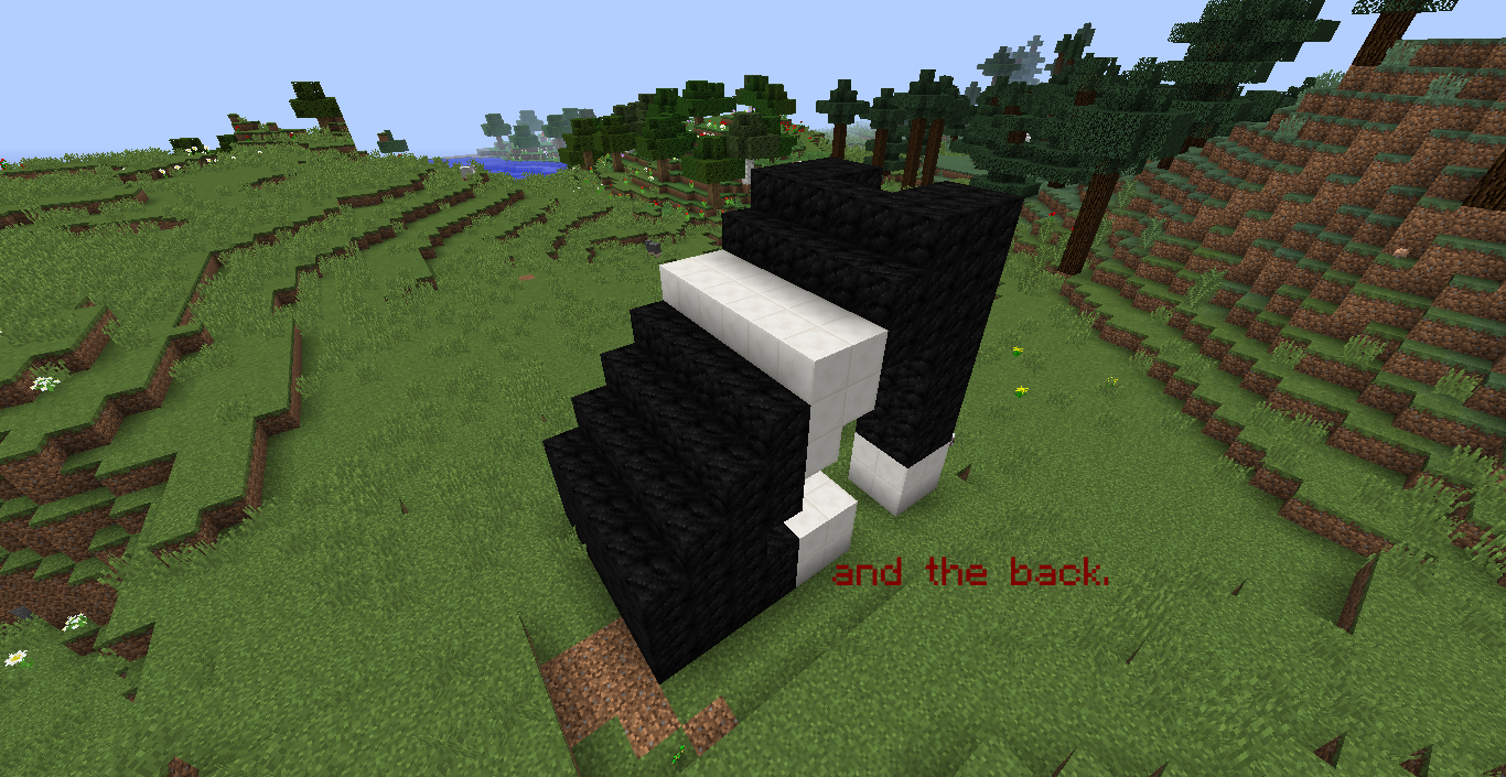 Black Cat Minecraft Statue : 4 Steps - Instructables