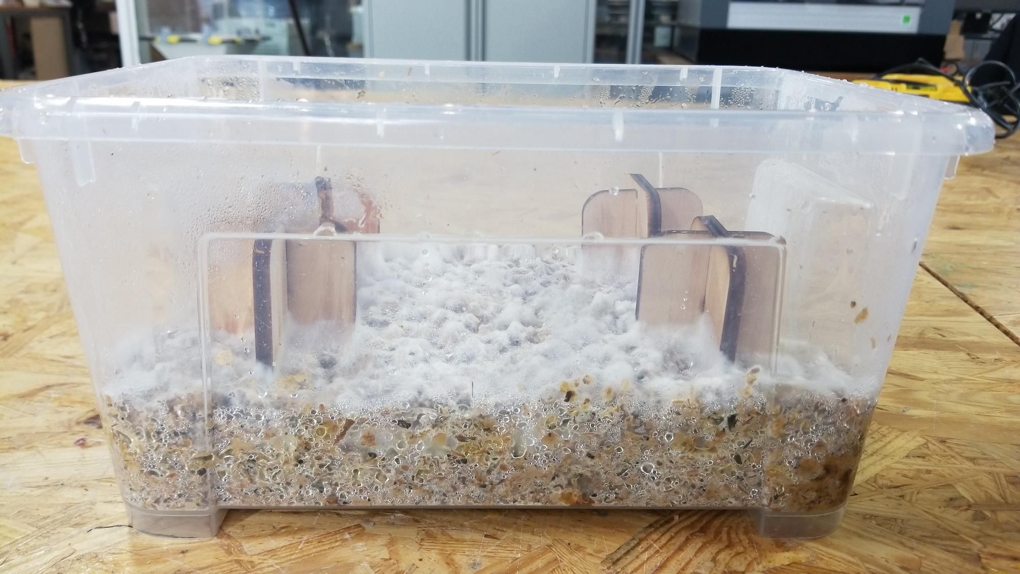 Mycelium Stool (prototype) : 8 Steps - Instructables