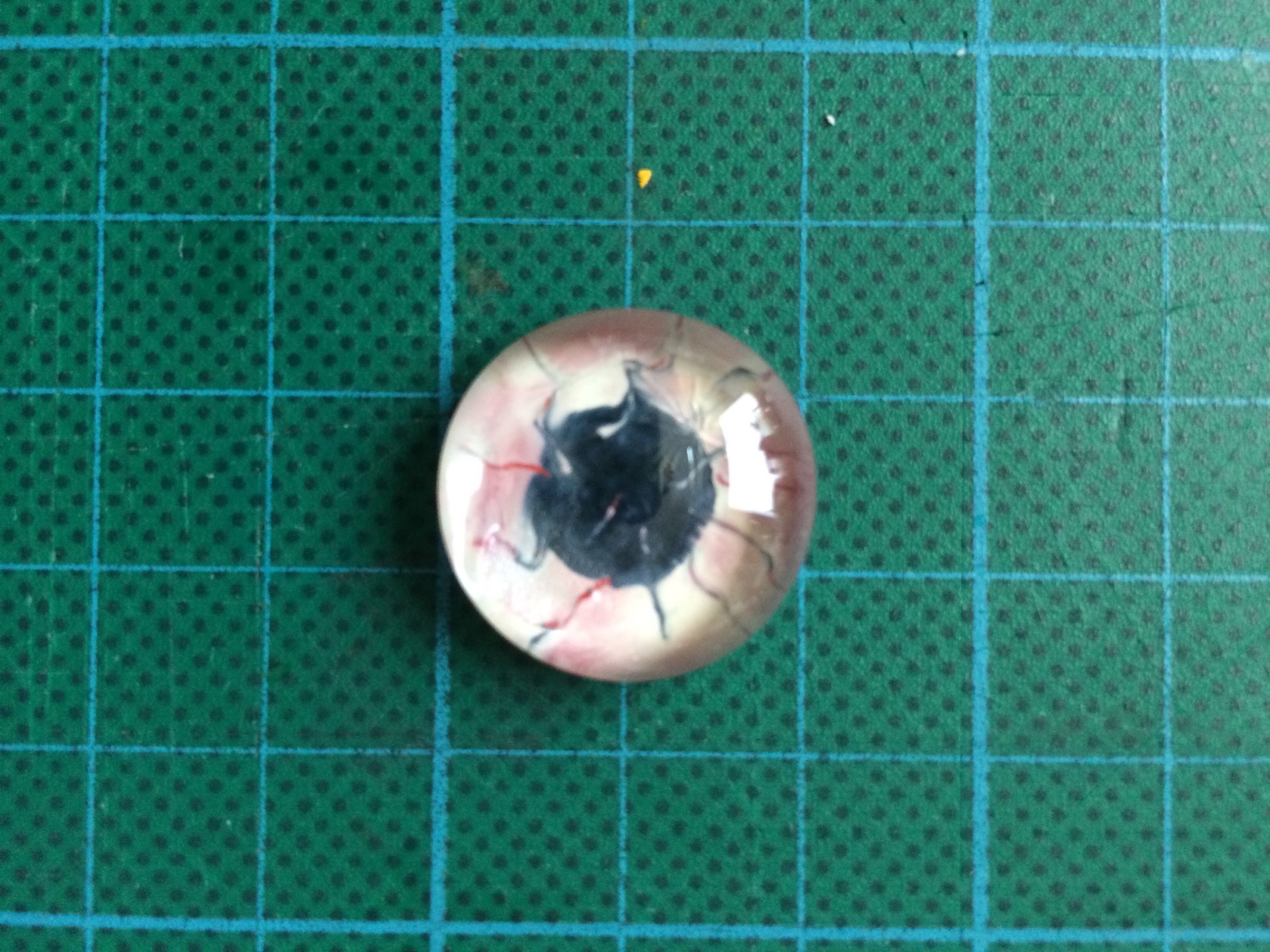 Eyeball Trophy Jewelry : 9 Steps (with Pictures) - Instructables