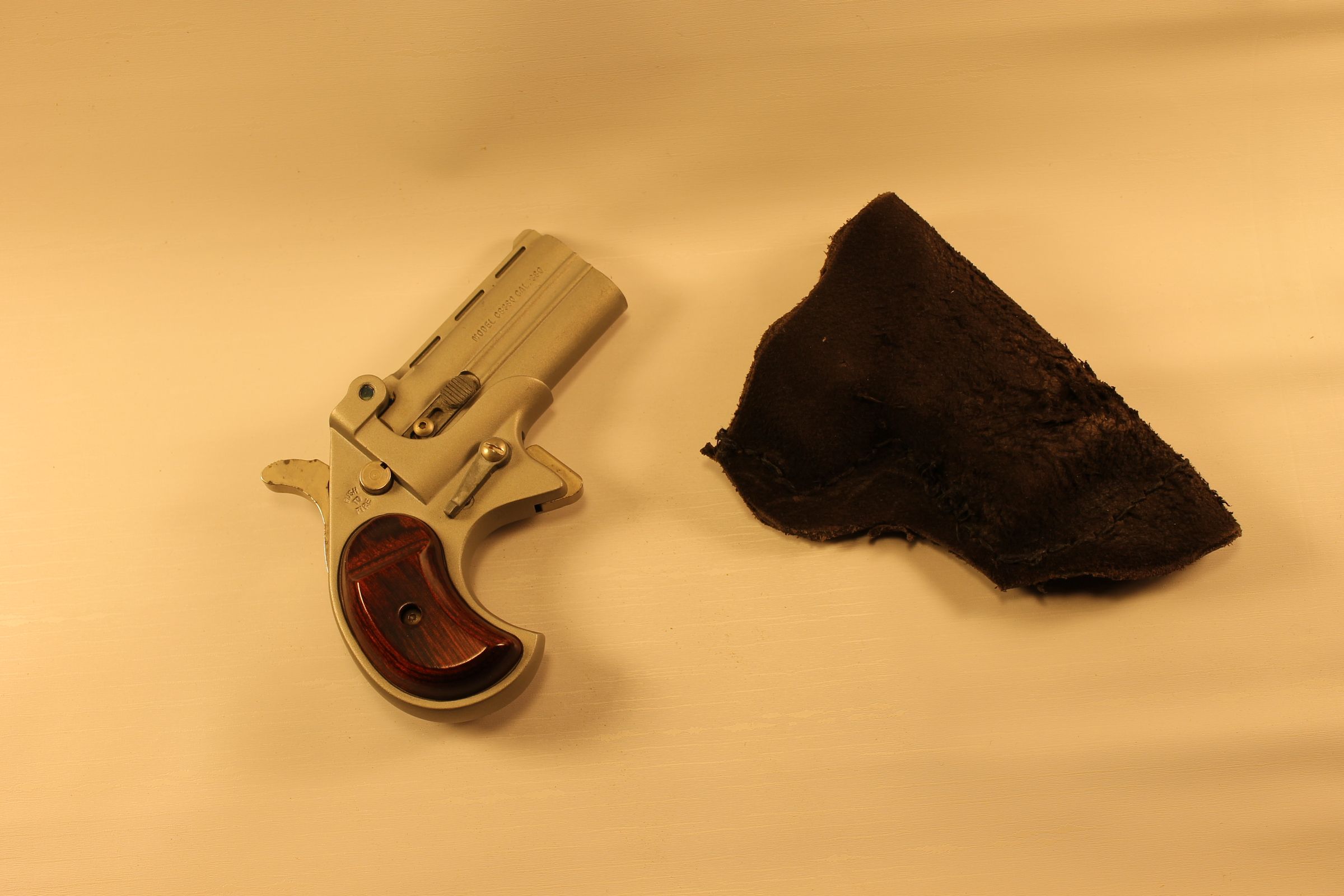 Derringer Holster - Instructables