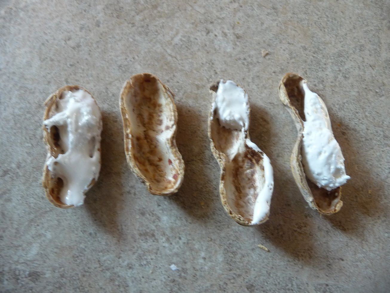 The Best Peanut Prank Ever! (with Pictures) - Instructables
