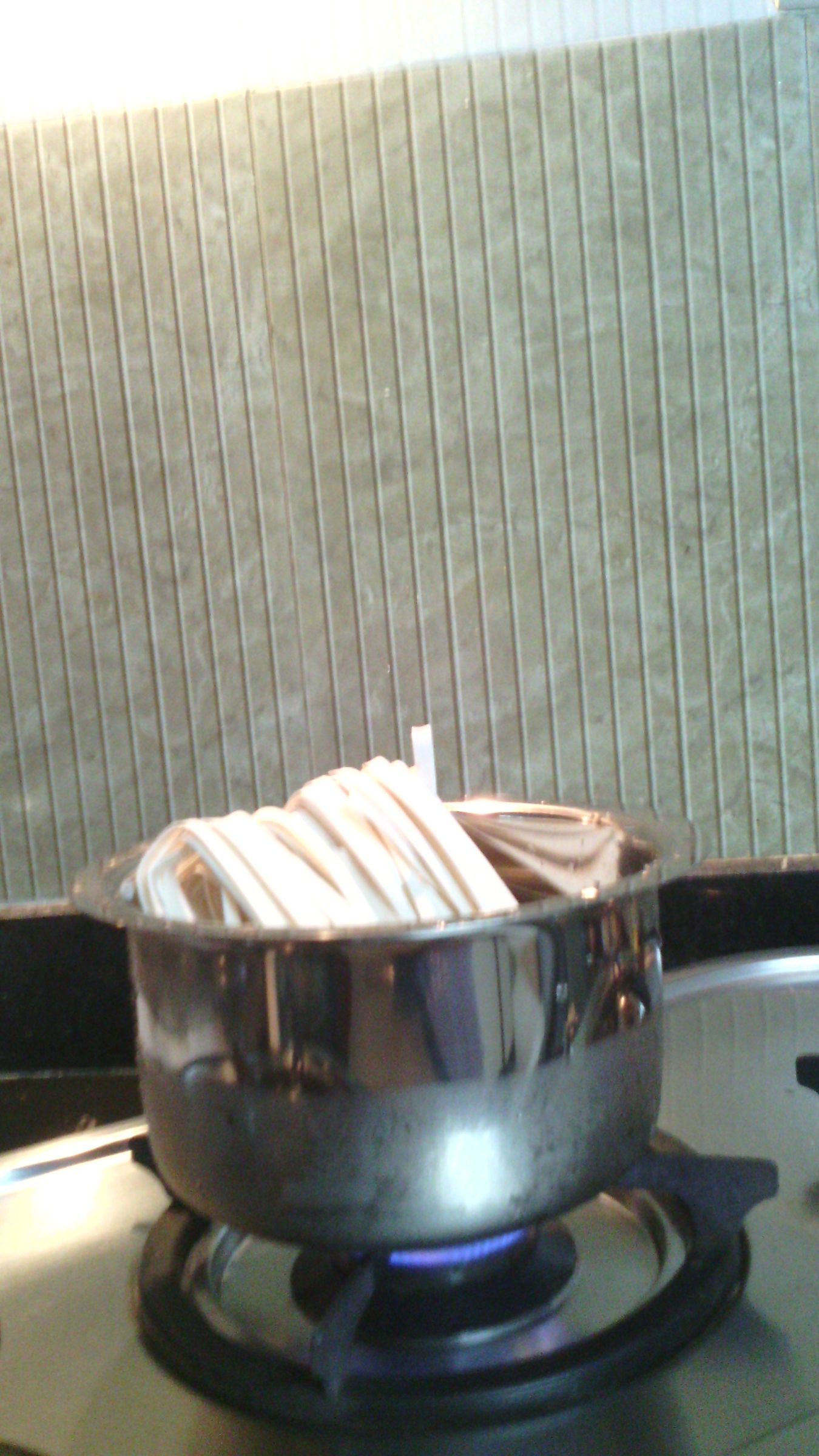 Cook Healthy Flat Italian Pasta the Chinese Way :) : 3 Steps ...