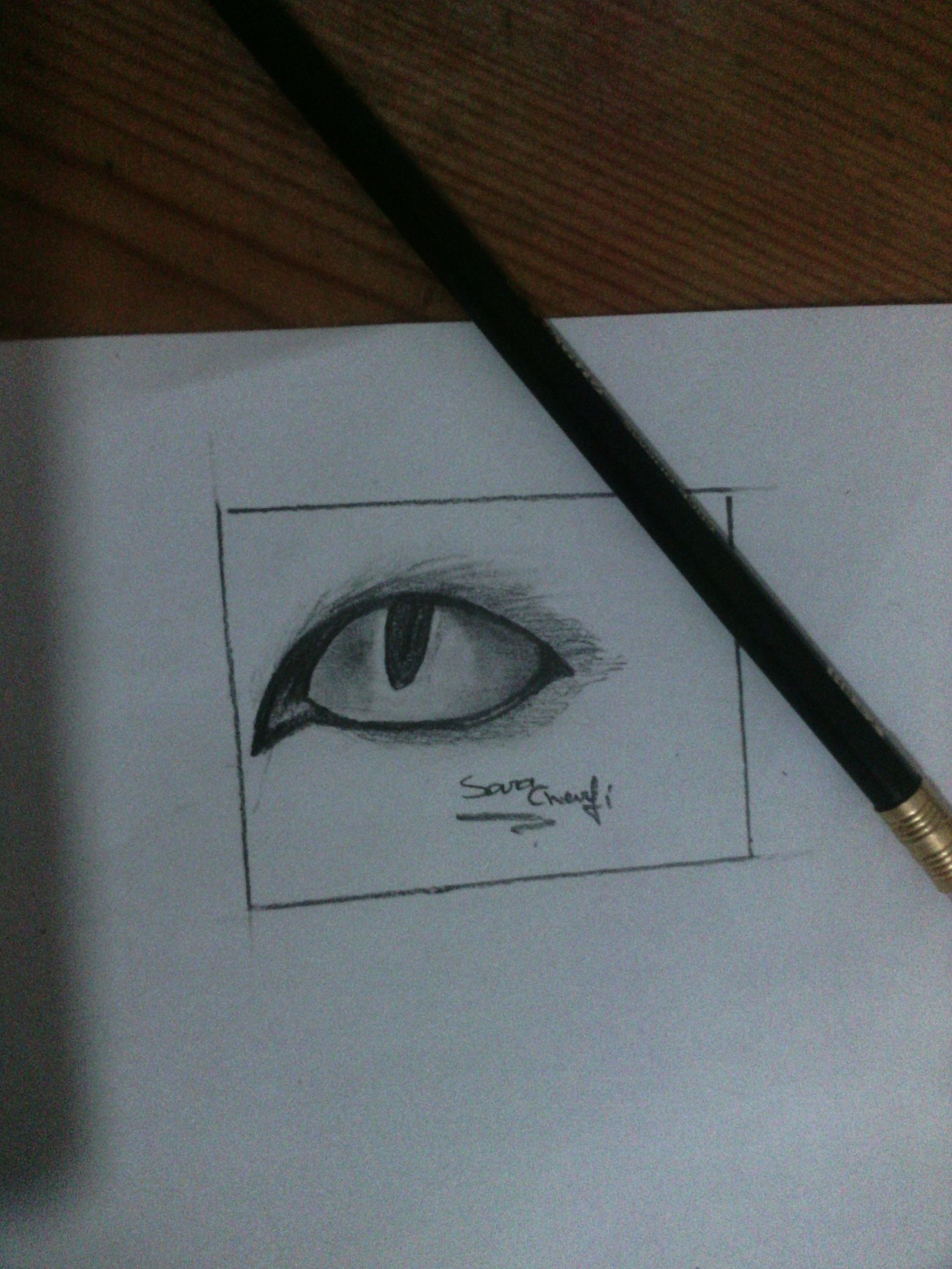 How to Draw a Cat Eye. : 7 Steps (with Pictures) - Instructables