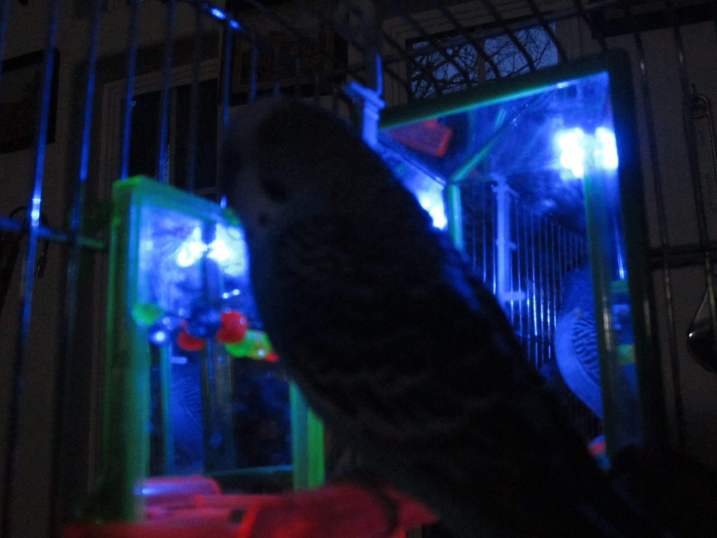 LED Color Changing Bird Toy! : 8 Steps - Instructables