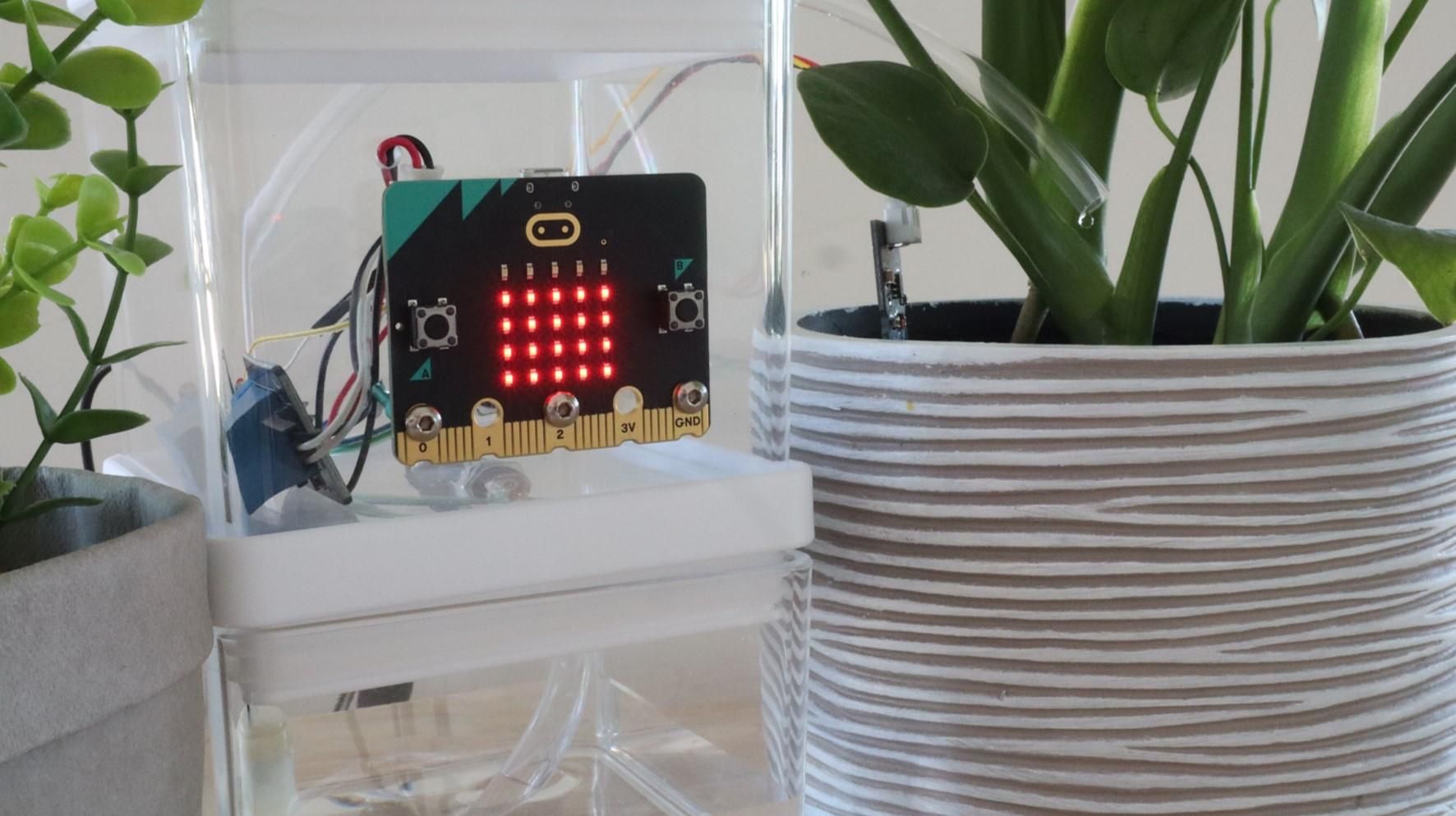 Automatic Plant Watering System Using a Micro:bit : 8 Steps (with ...