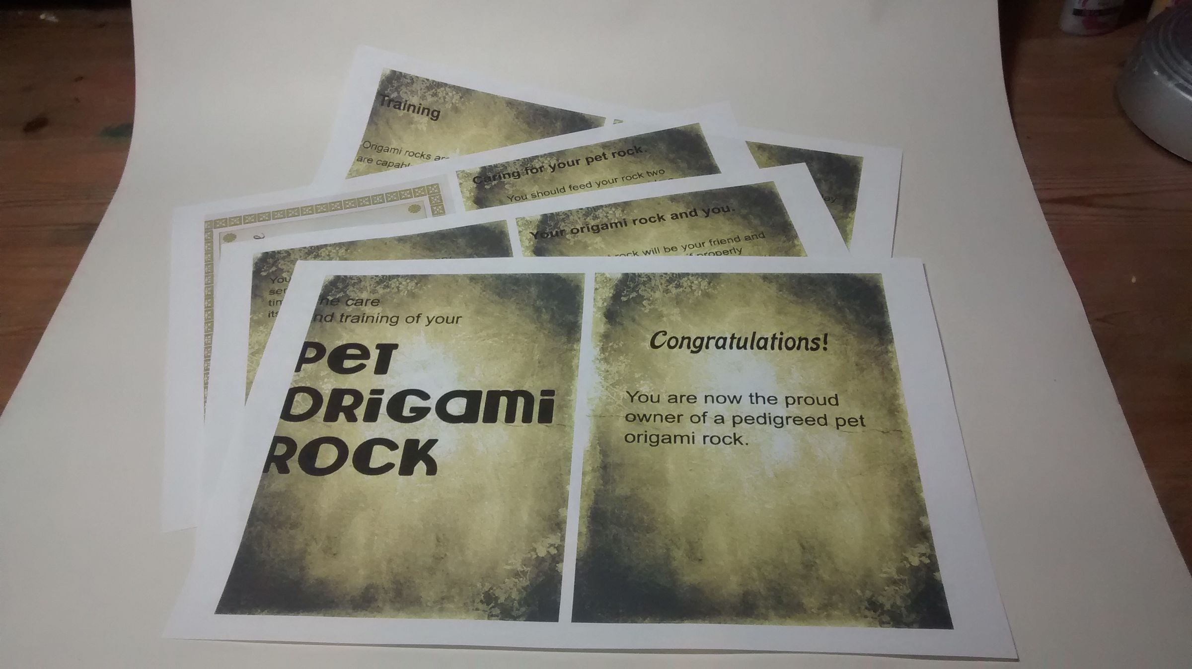 Pet Origami Rock and Manual : 4 Steps - Instructables