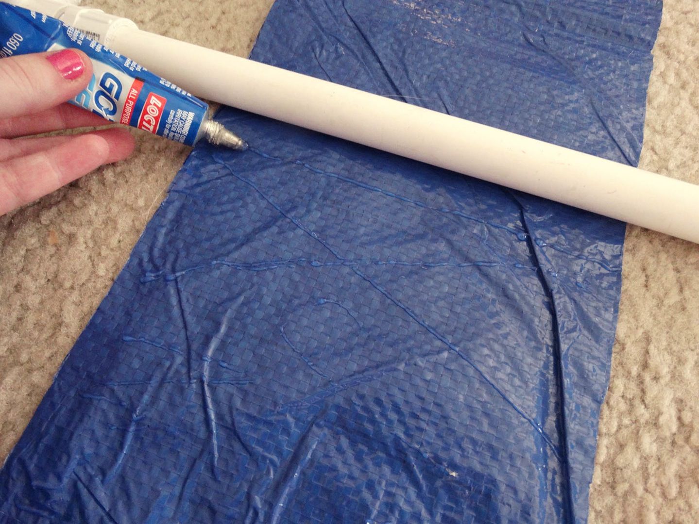 Raising Giant Silk Moths : 15 Steps (with Pictures) - Instructables