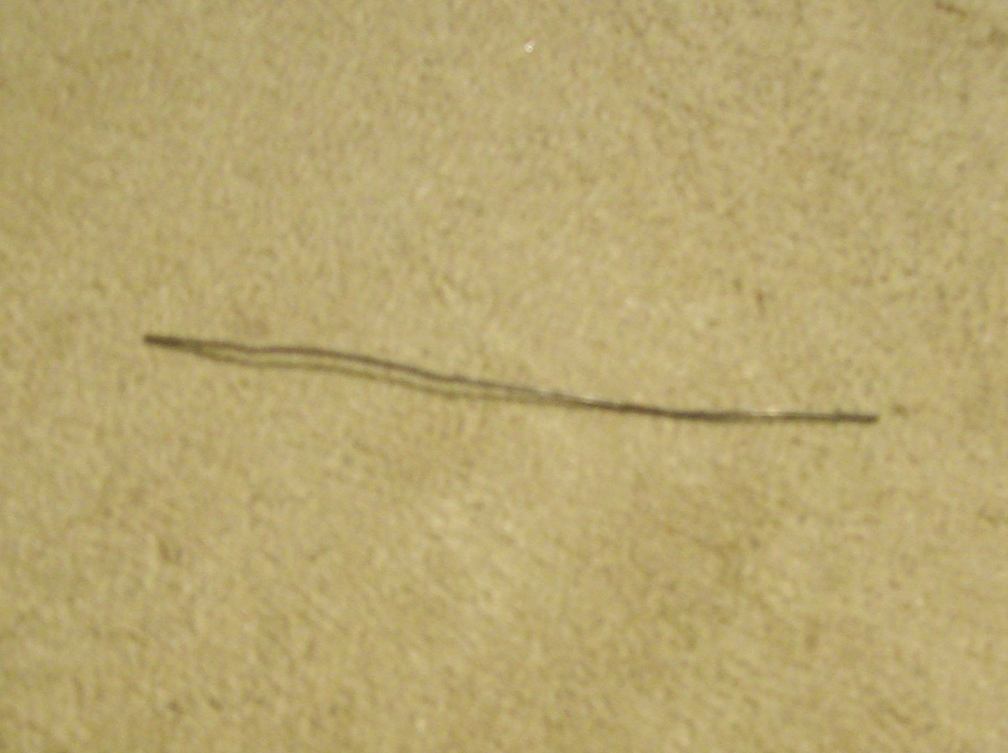 A Paperclip Fish Hook : 5 Steps - Instructables